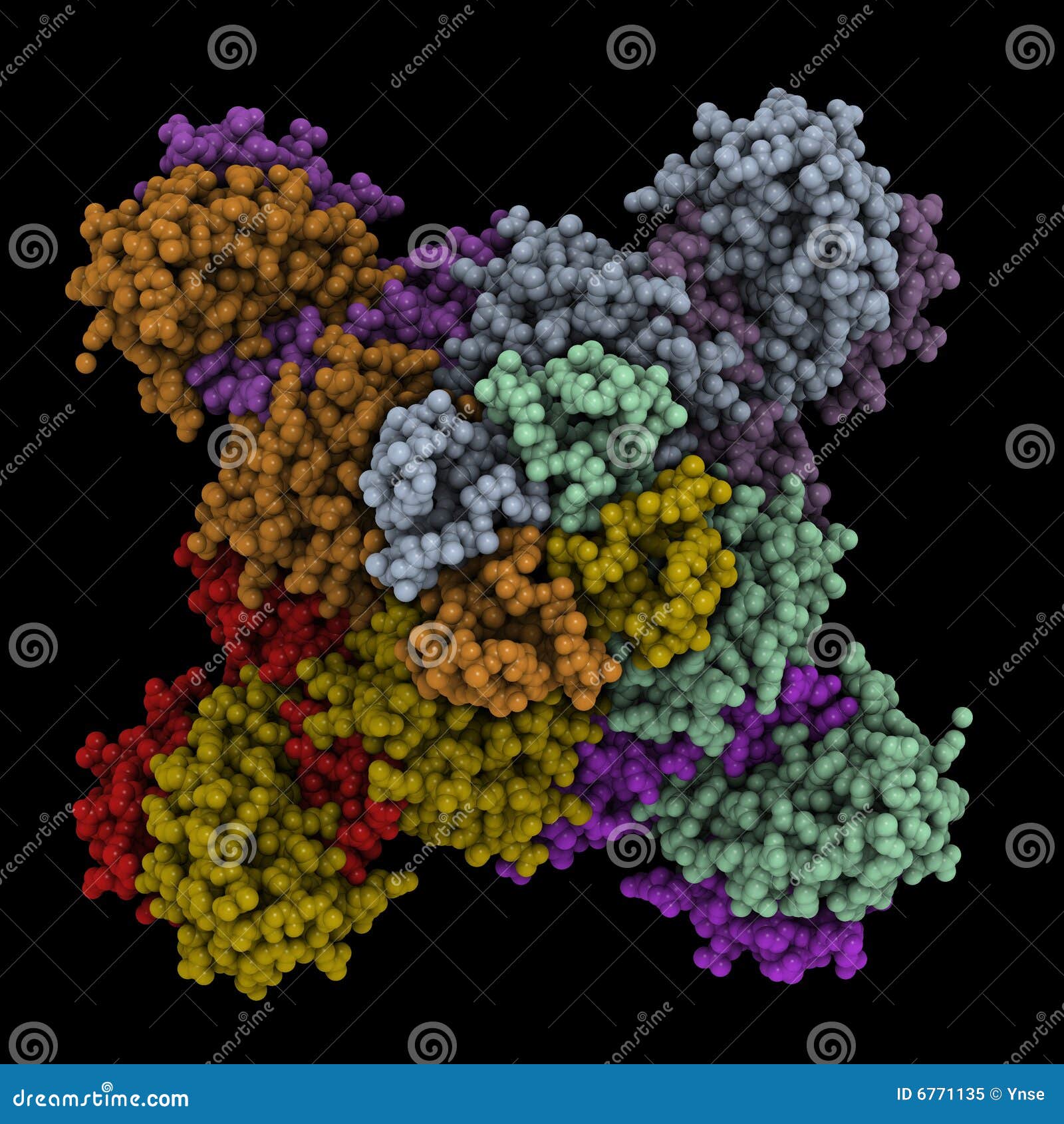 Protein Complex Like A Puzzle - Pictured As Word Protein On A Puzzle ...