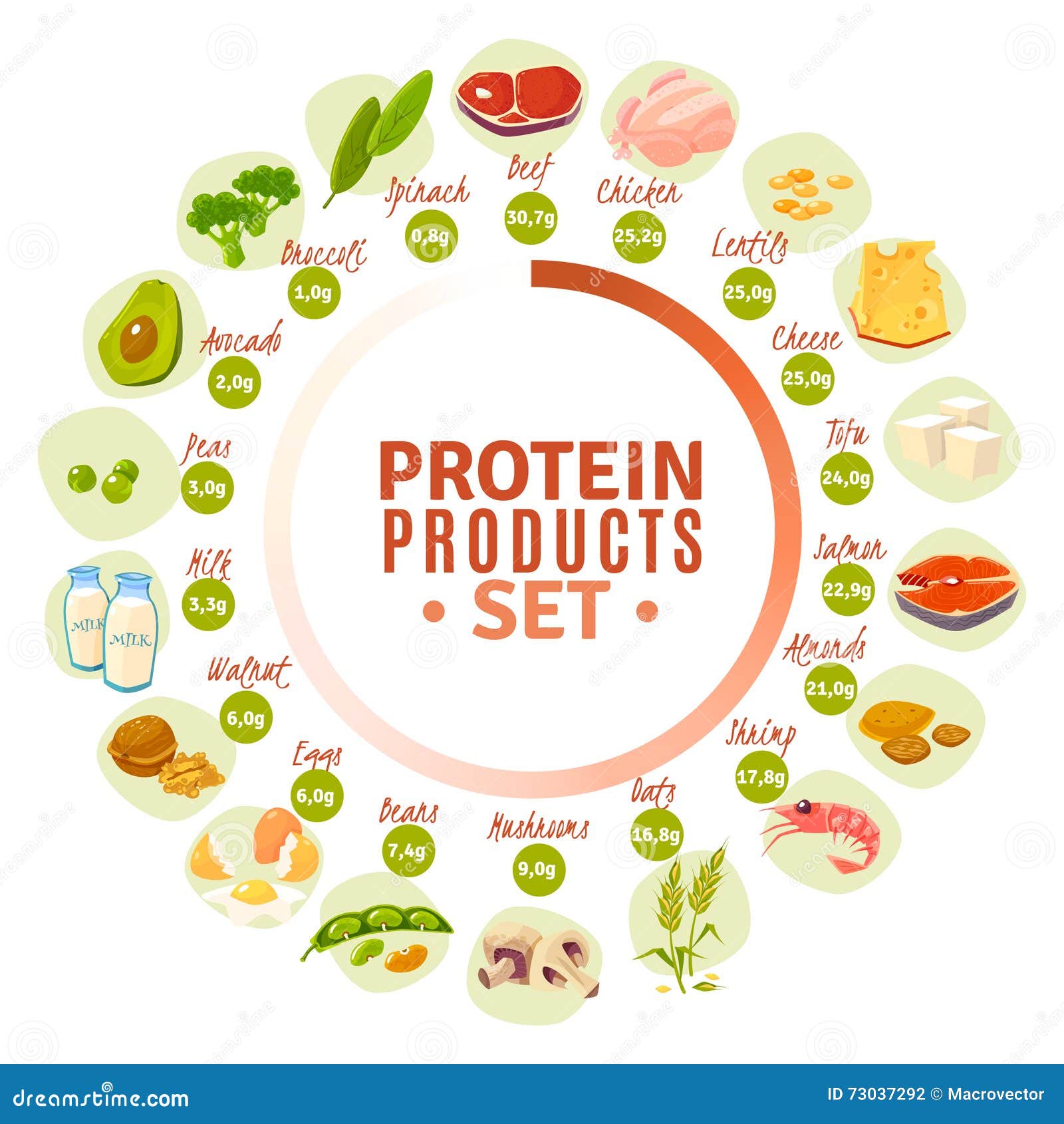 Protein Containing Products Flat Circle Diagram Stock Vector ...