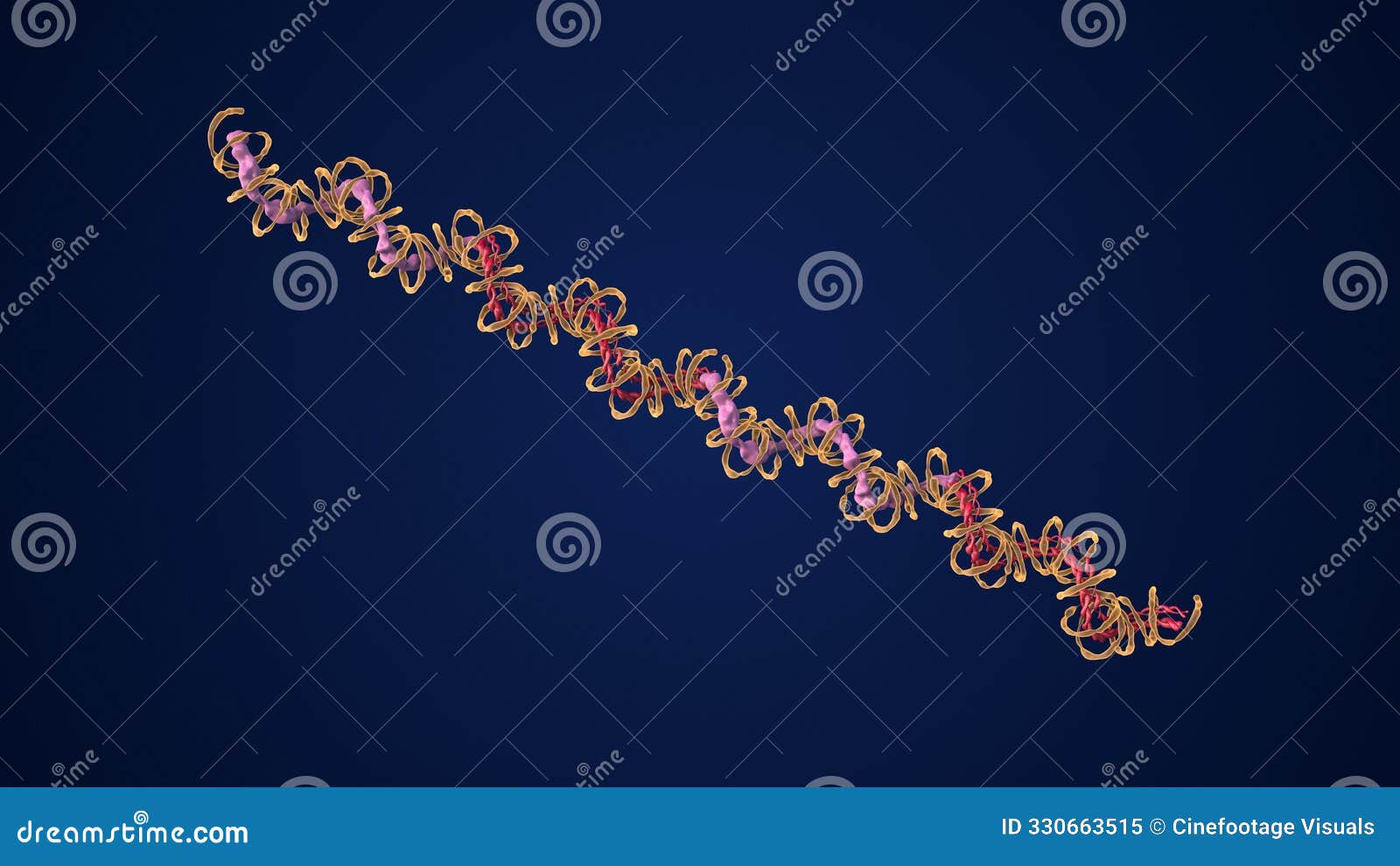 Protein Folding Is Caused By Polypeptide Chains Royalty-Free Stock ...