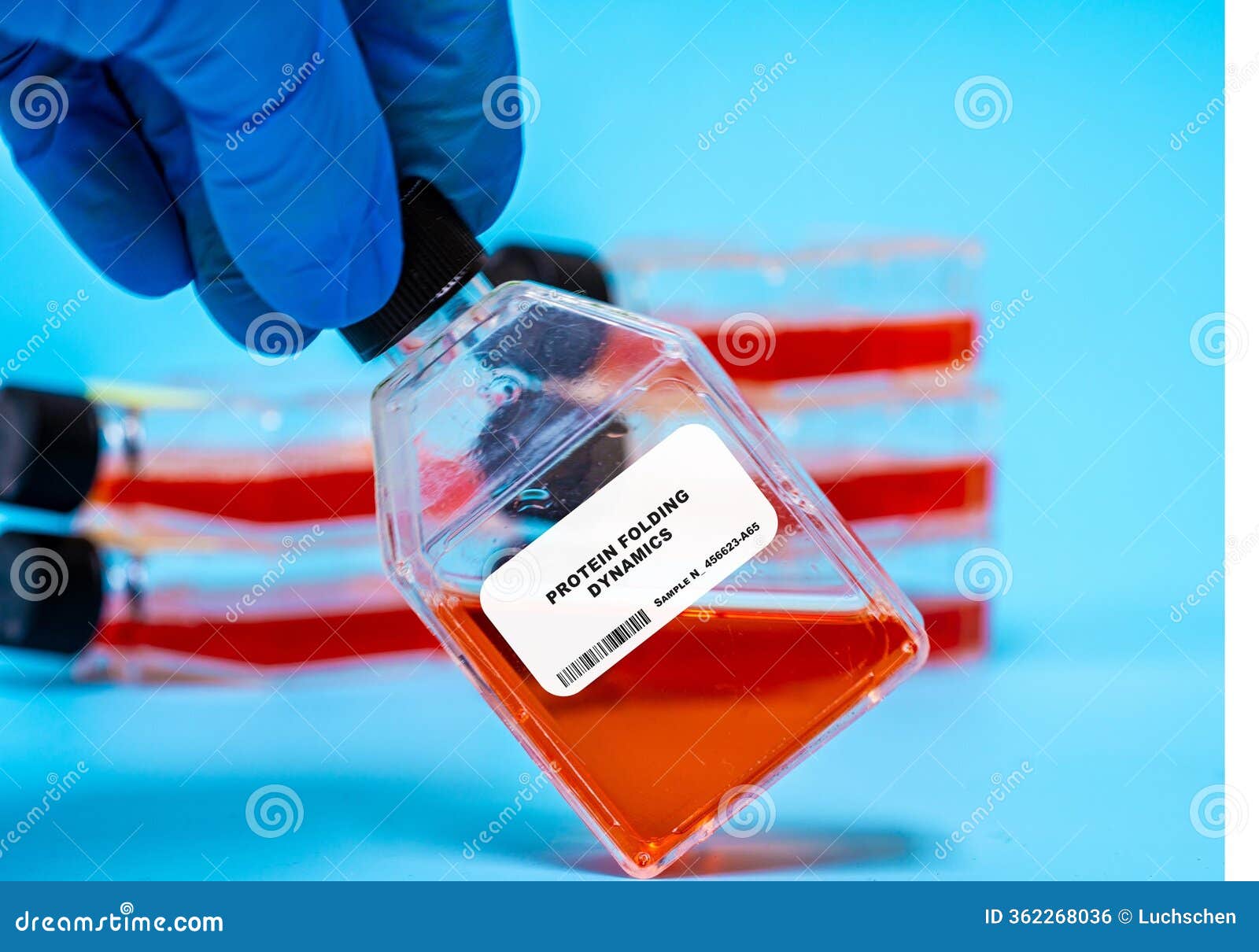 Protein Folding Dynamics Exploring How Proteins Fold within Cells and ...