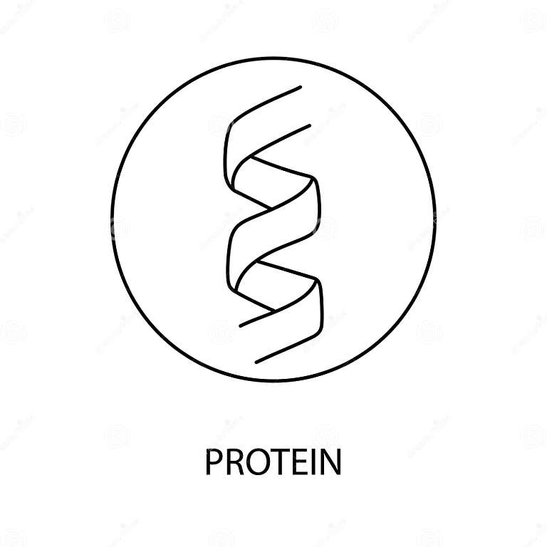 Protein Line Icon Vector for Food Packaging, Protein Molecule ...