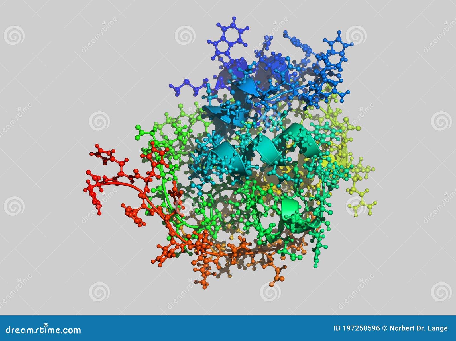 Protein molecular model stock illustration. Illustration of forces ...