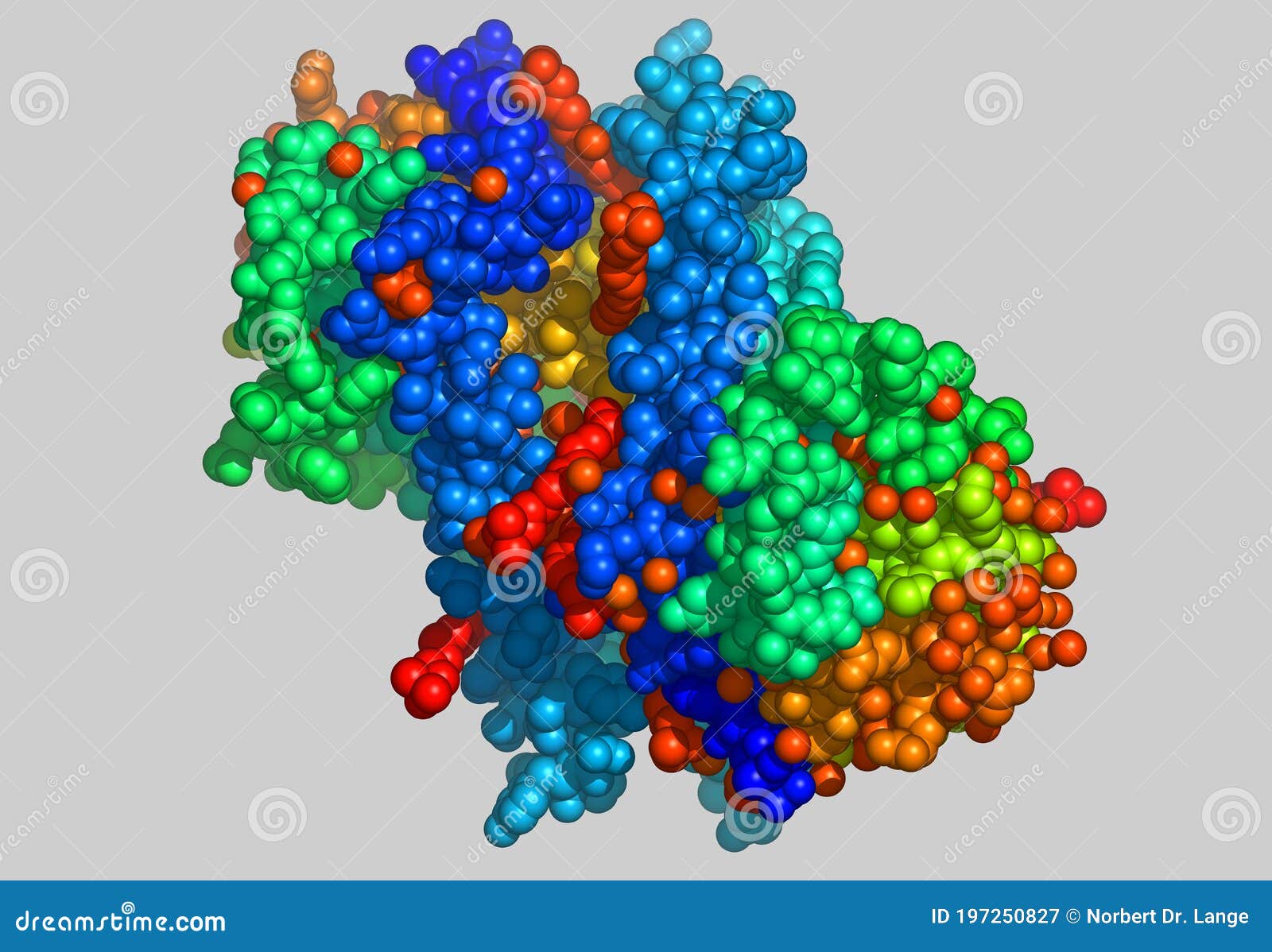 Protein molecular model stock illustration. Illustration of bonds ...