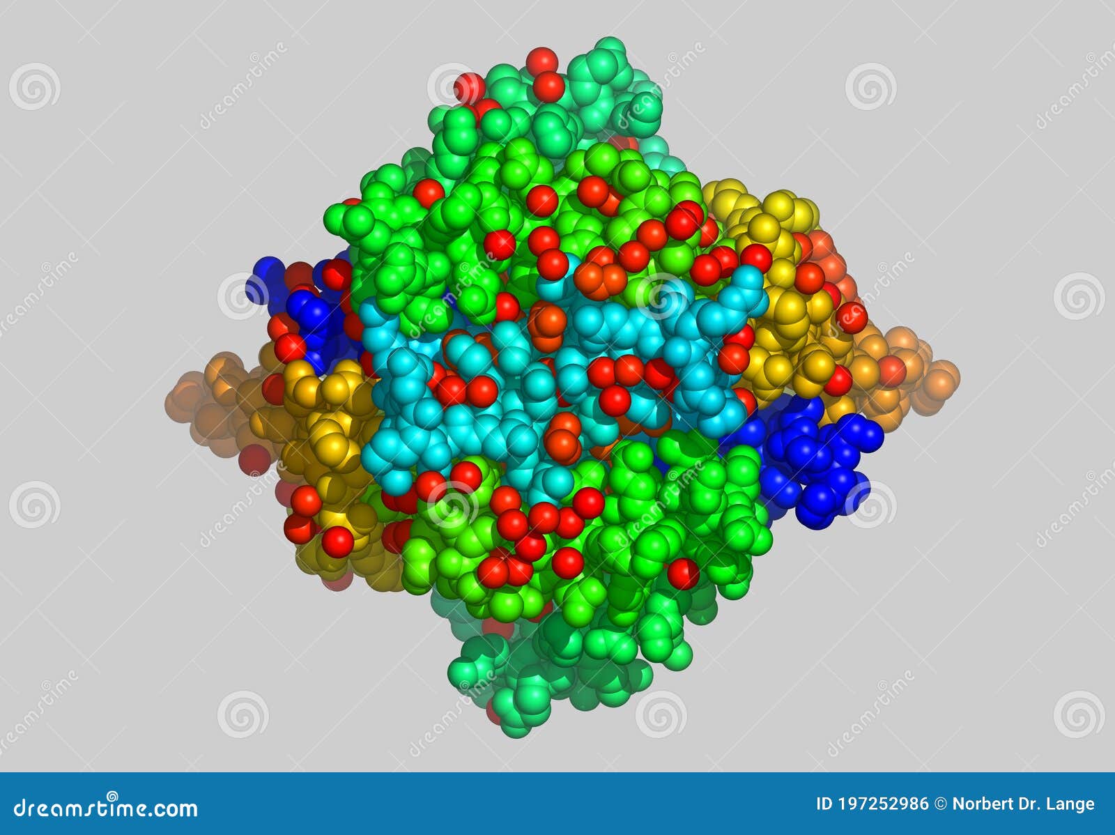 Protein molecular model stock illustration. Illustration of colored ...