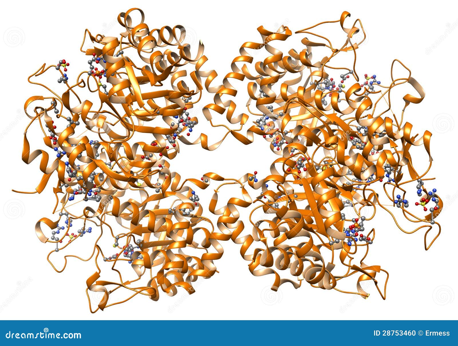 Protein Structure Clipart