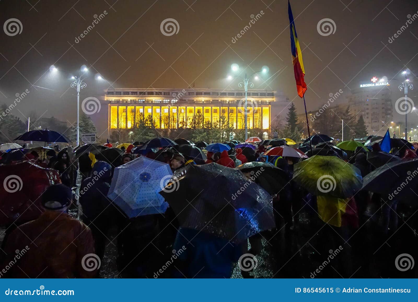 Protest in Bucharest, Romania Editorial Image - Image of movement ...