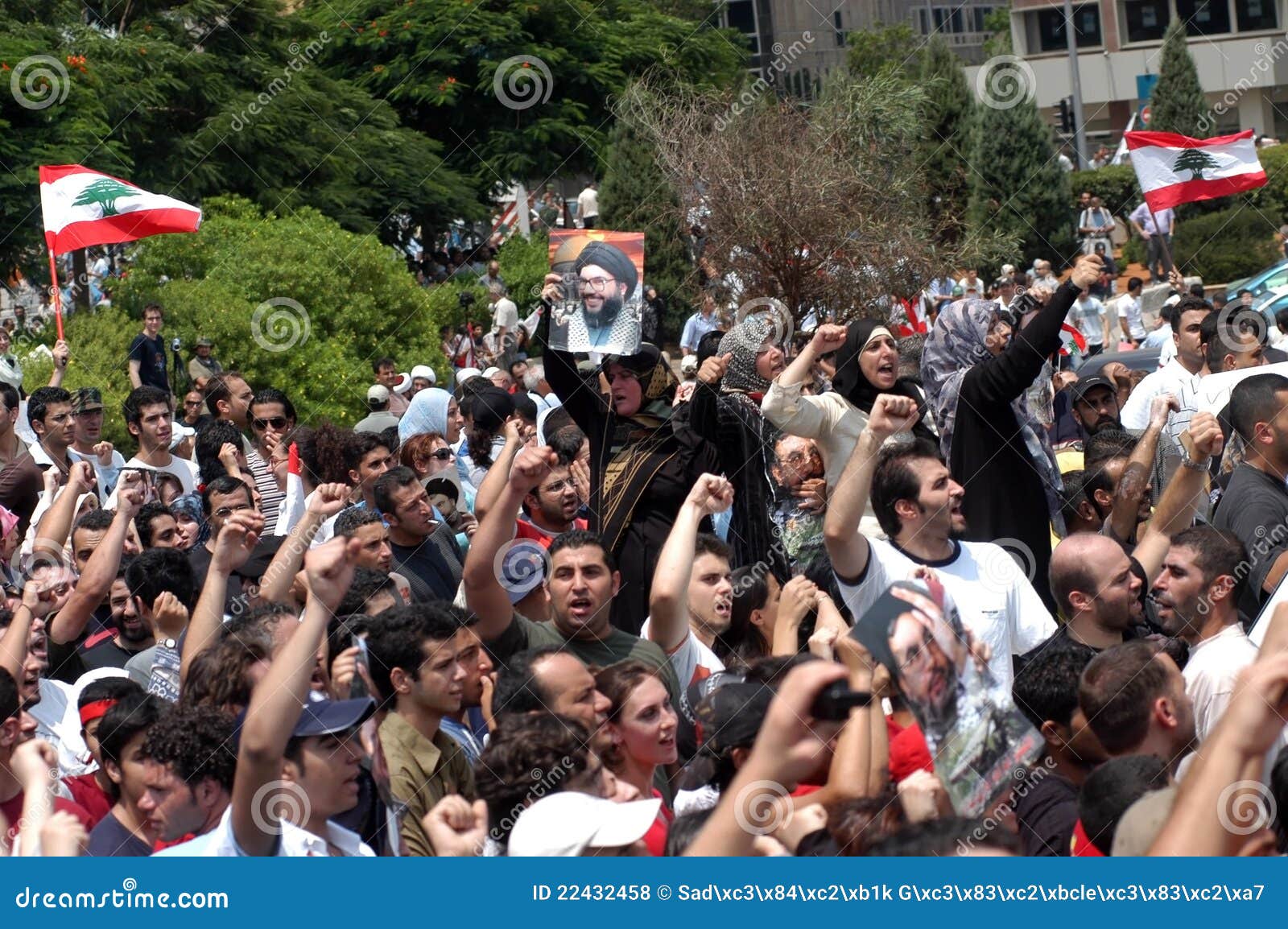 Protest in Lebanon editorial stock photo. Image of affairs - 22432458