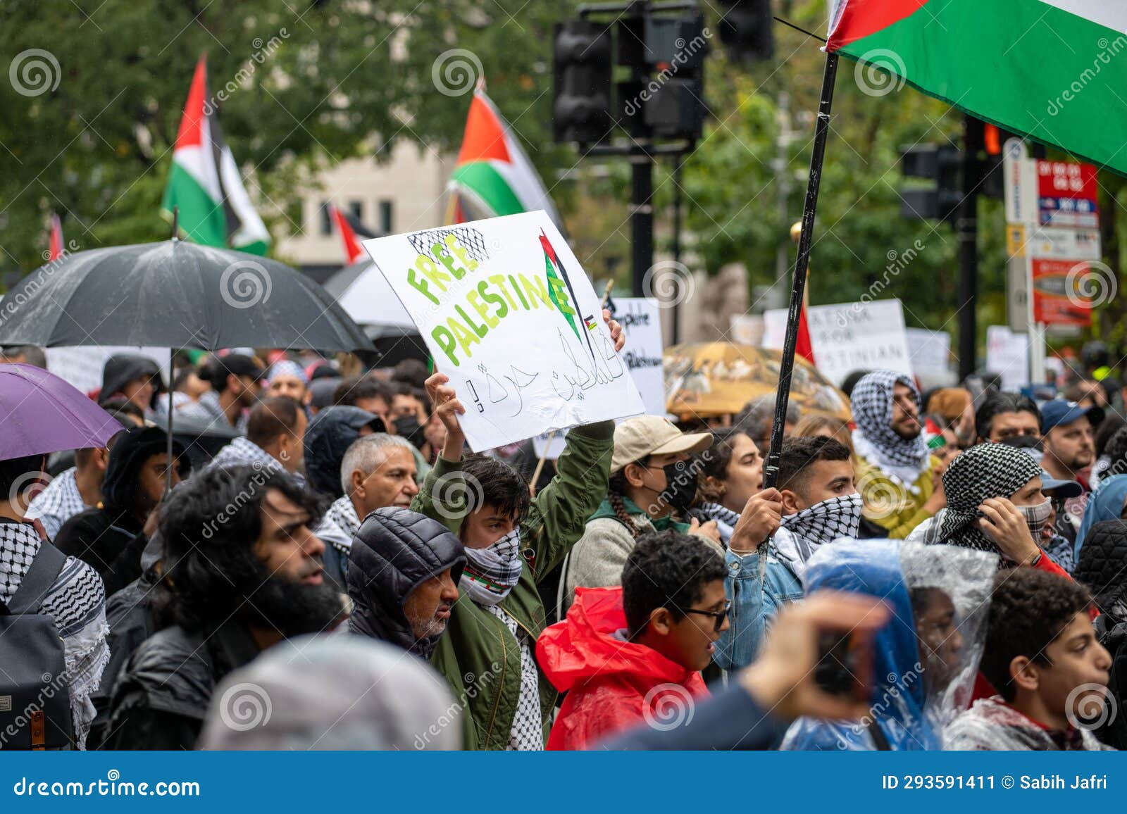 Washington, DC - 10-14-2023: Protest Signs at Palestine Protest in ...