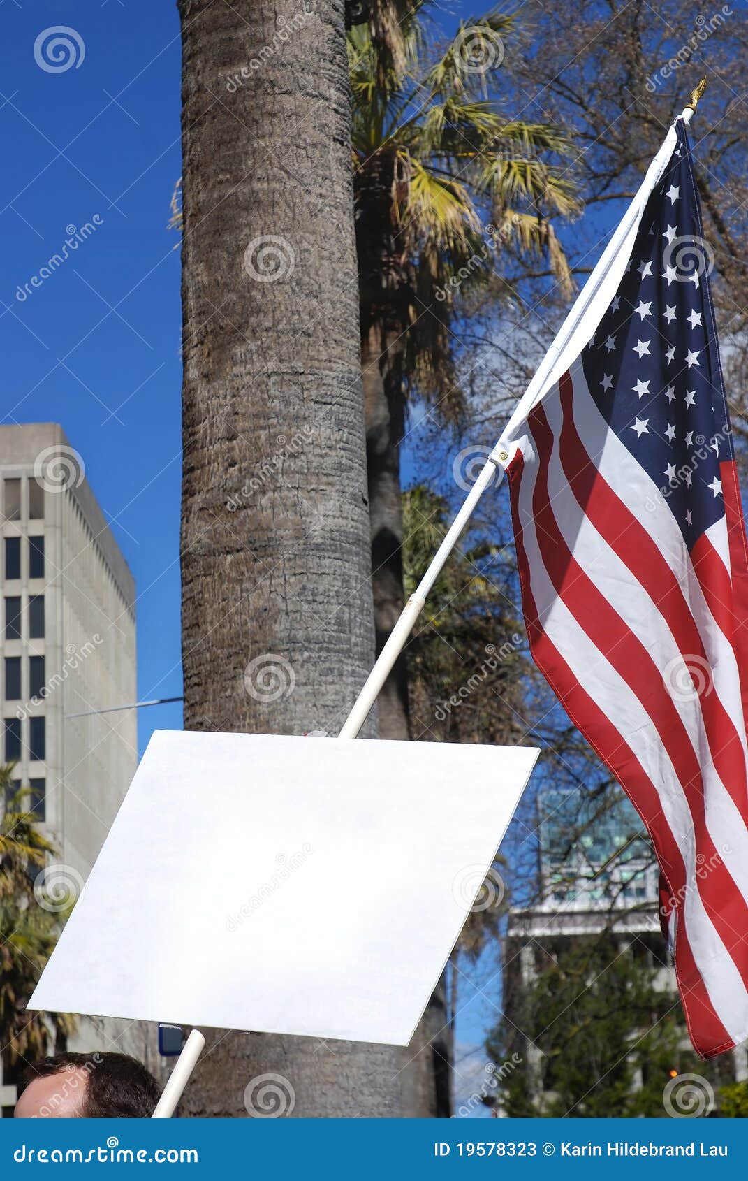 Protester with Sign and Flag Stock Image - Image of freedom, signs ...