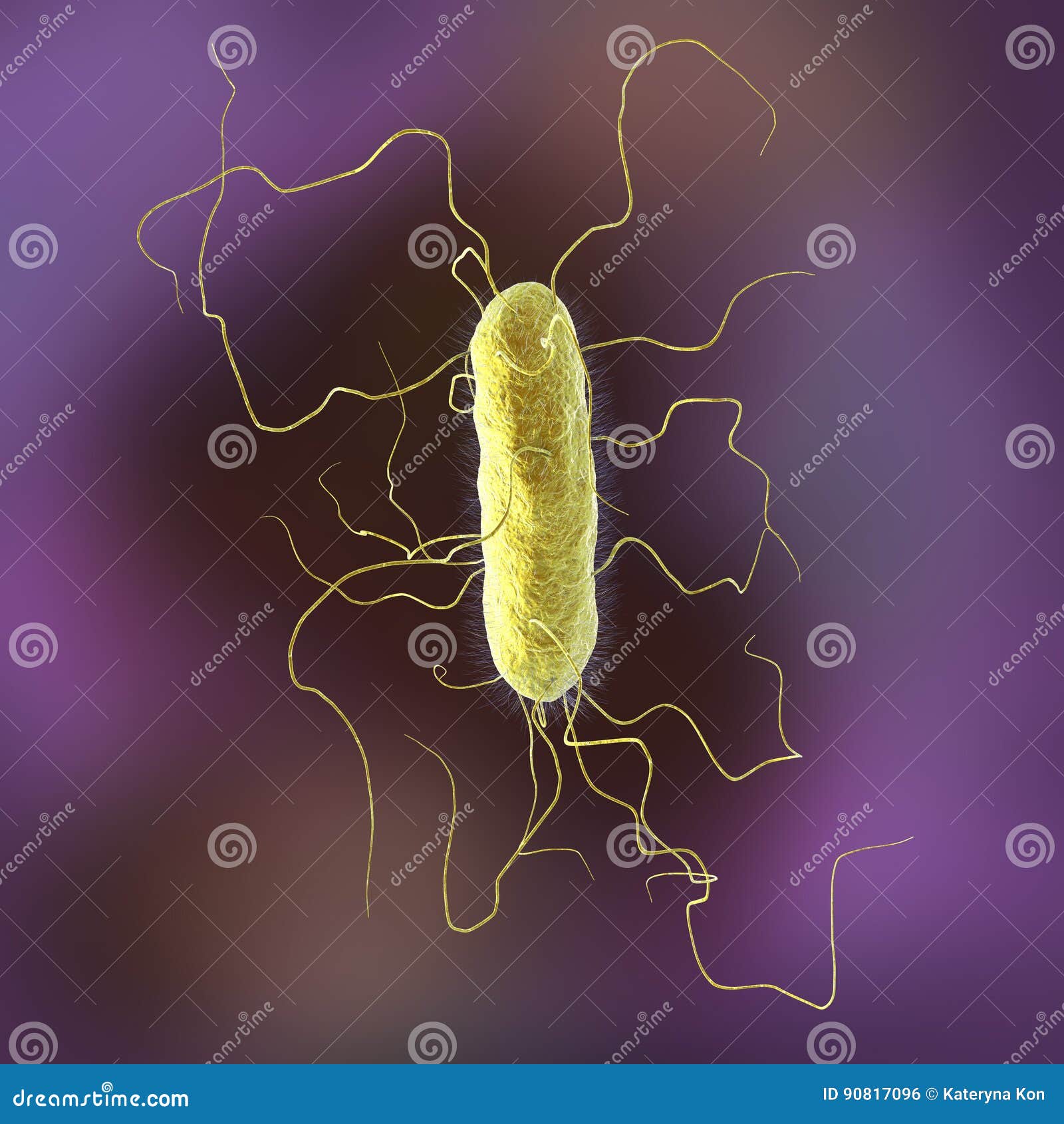 Proteus - bactéria vulgar ilustração stock. Ilustração de bactéria ...