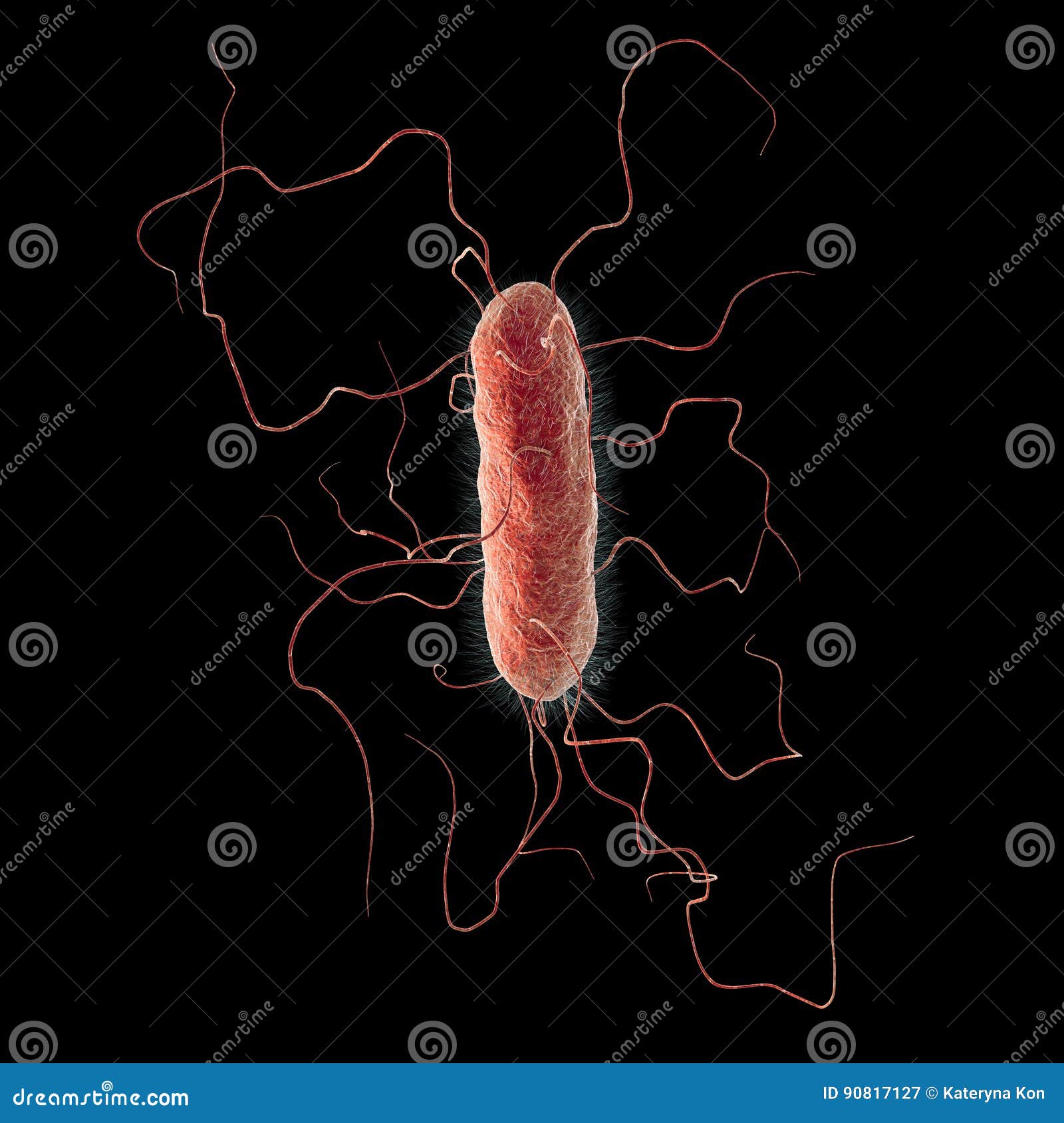 Proteus - Bacteria Vulgaris Stock de ilustración - Ilustración de negro ...