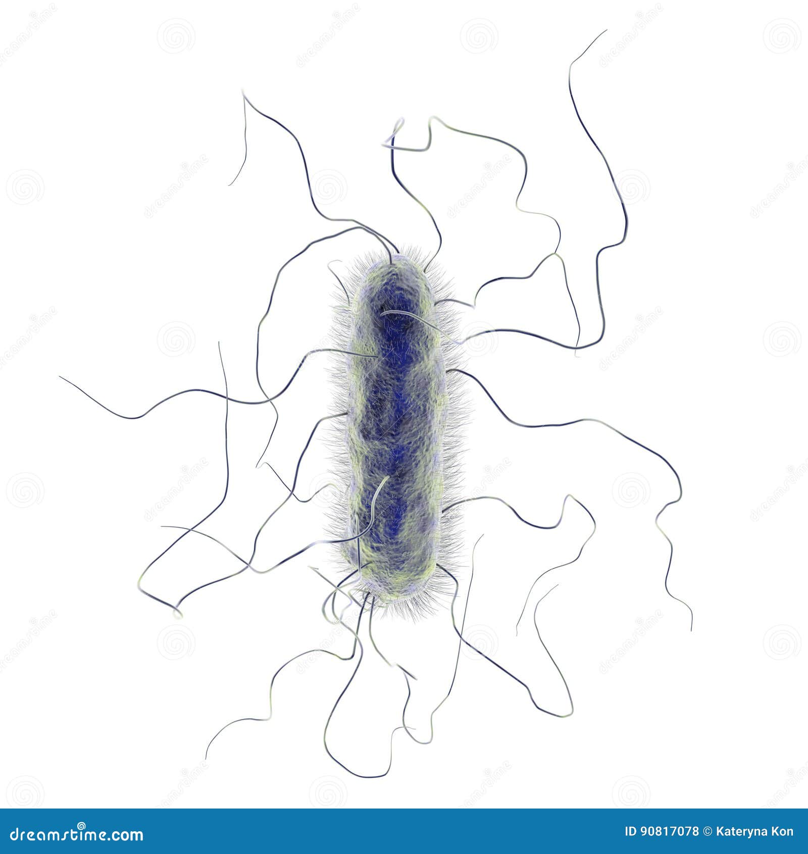 Proteus Mirabilis Bacteria Under A Microscope AI Generated Royalty-Free ...