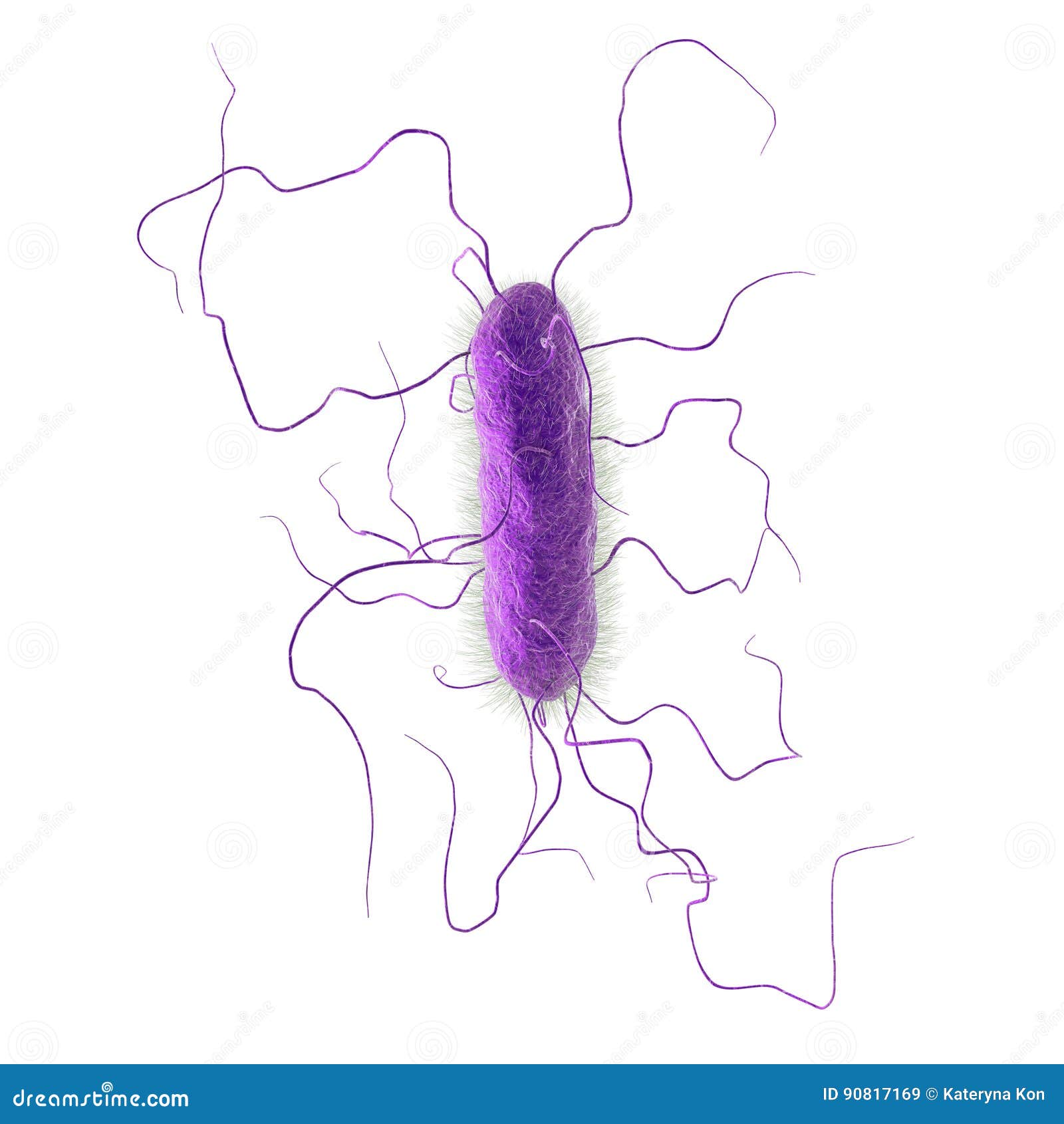 Proteus vulgaris bacterium stock illustration. Illustration of enteric ...