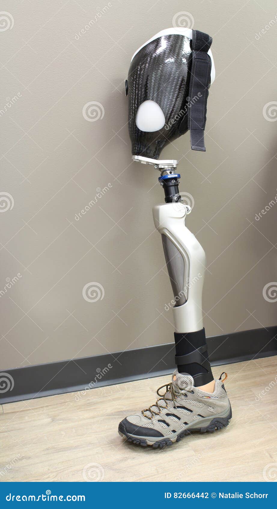 Prothèse De Jambe Avec La Chaussure Photo stock - Image du médical ...