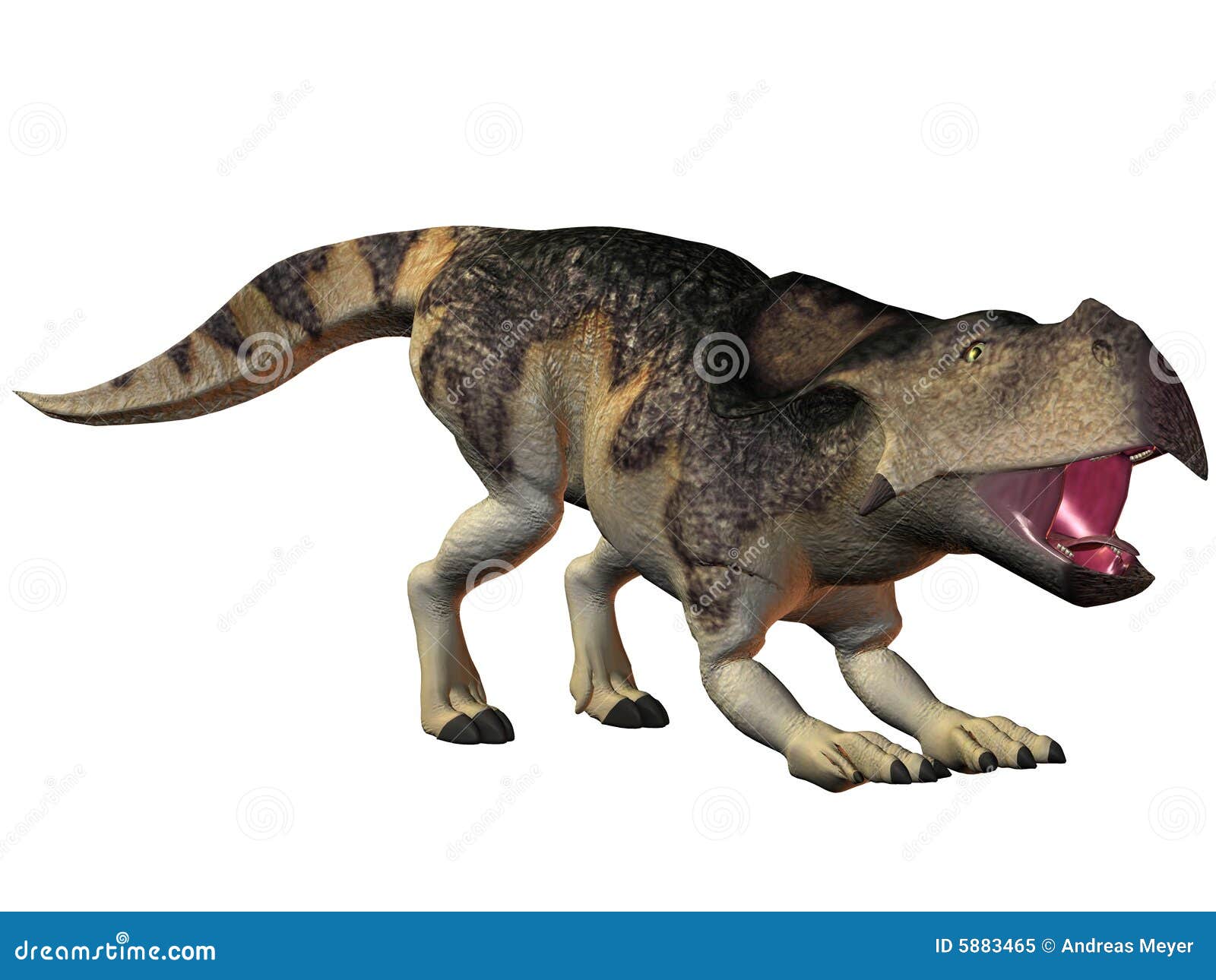 Protoceratops stock illustration. Illustration of monstrous - 5883465