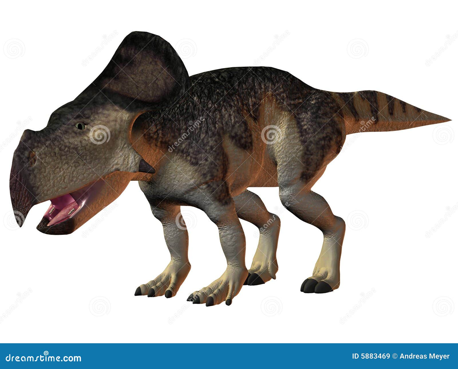 Protoceratops stock illustration. Illustration of creature - 5883469