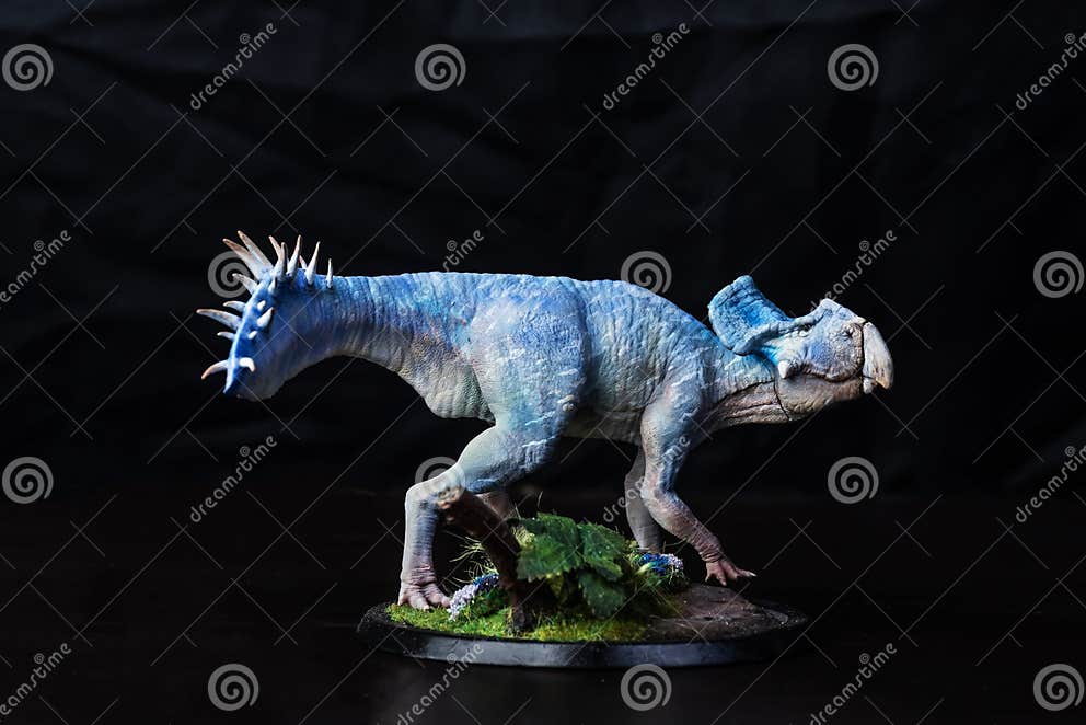 Protoceratops , Dinosaur on Black Background Stock Photo - Image of ...