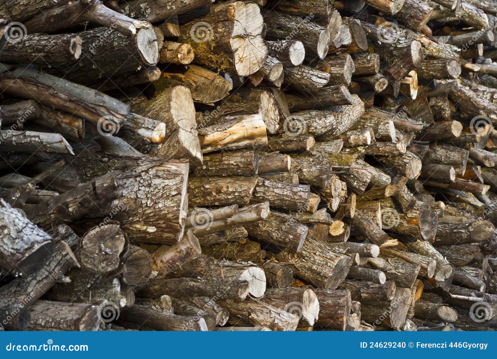 Protokolle stockfoto. Bild von zweig, forstwirtschaft - 24629240
