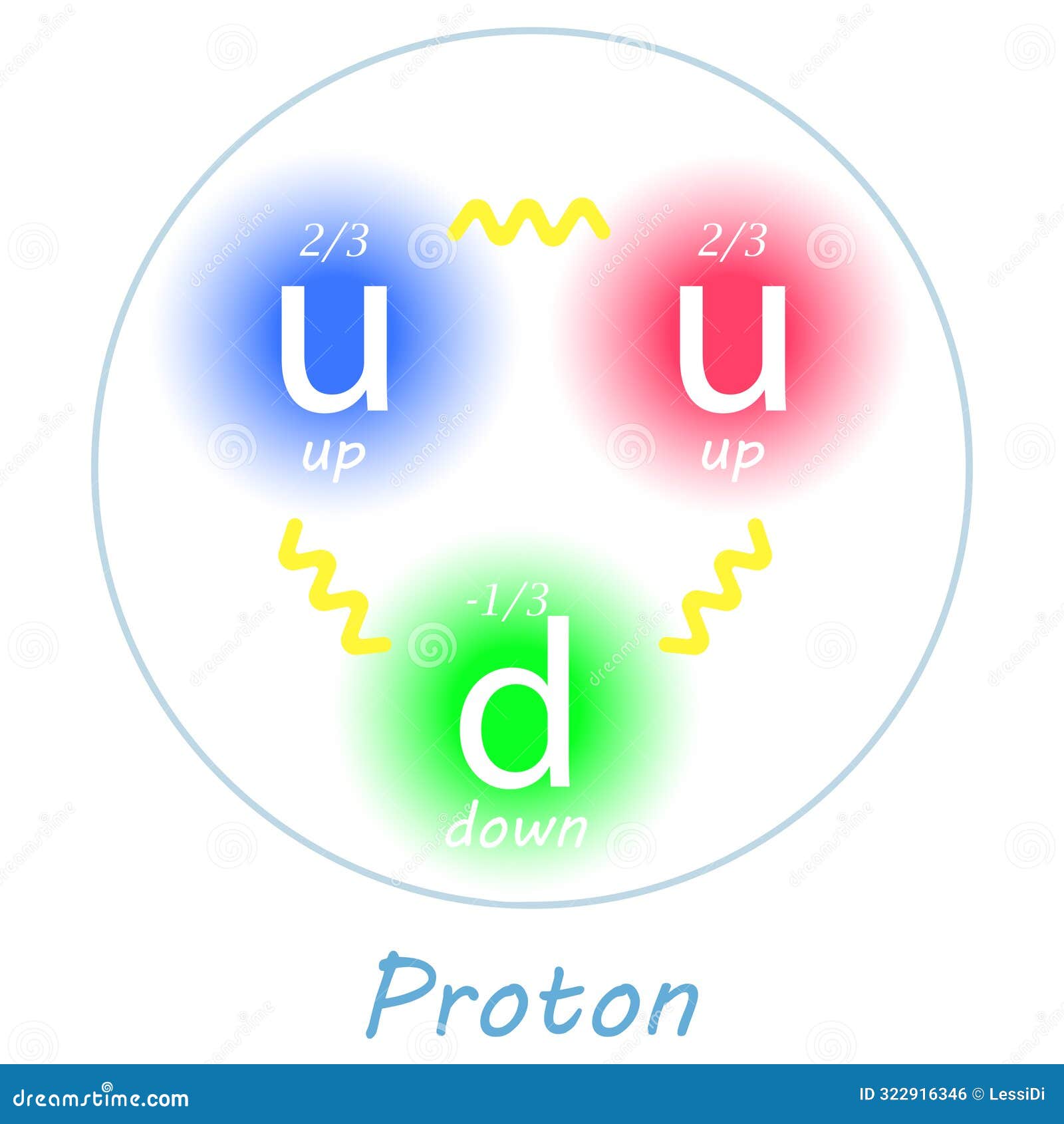Proton with Two Up Quarks, One Down Quark, Charges and Forces on White ...
