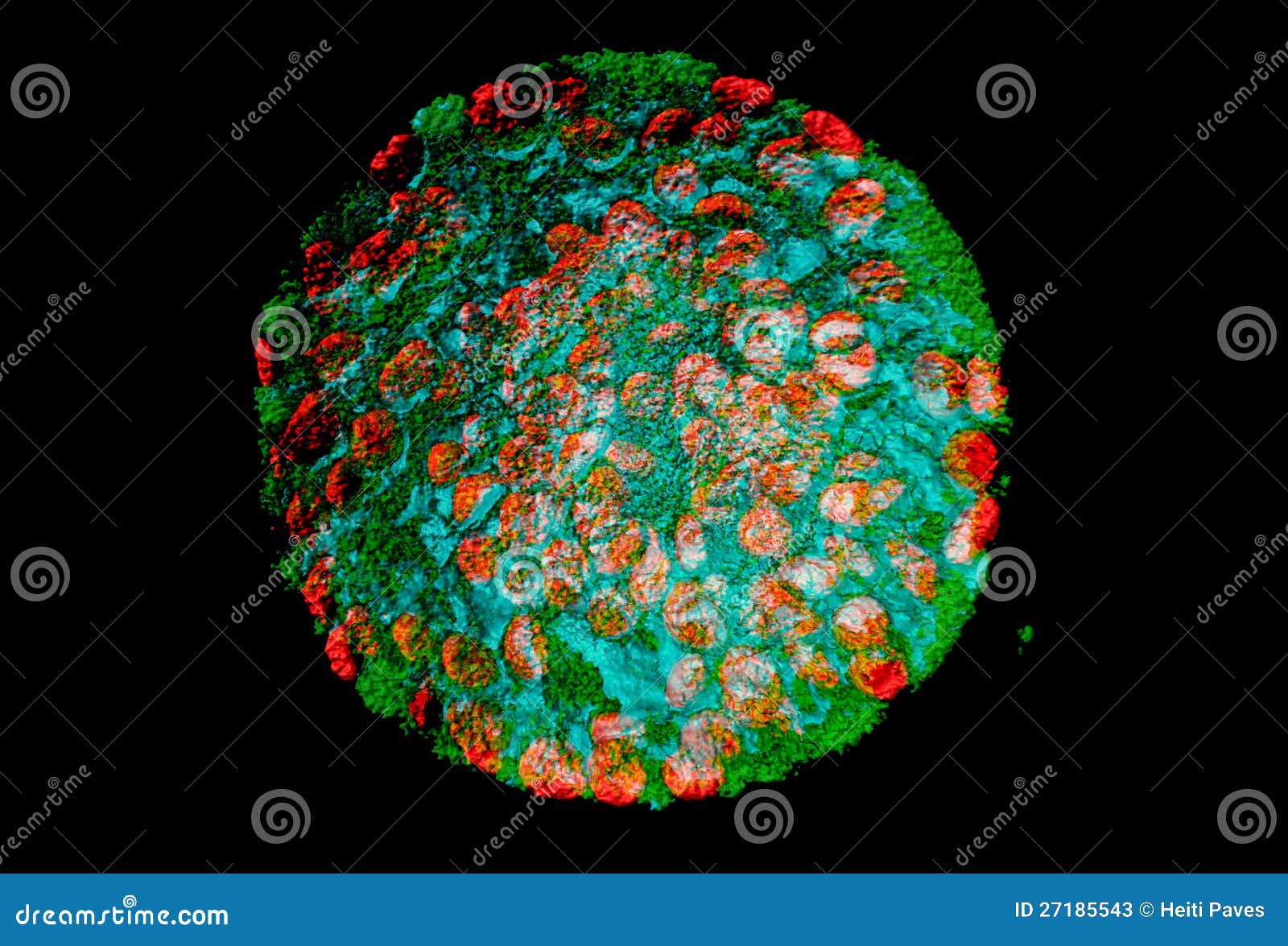 Confocal Cartoons, Illustrations & Vector Stock Images - 44 Pictures to ...