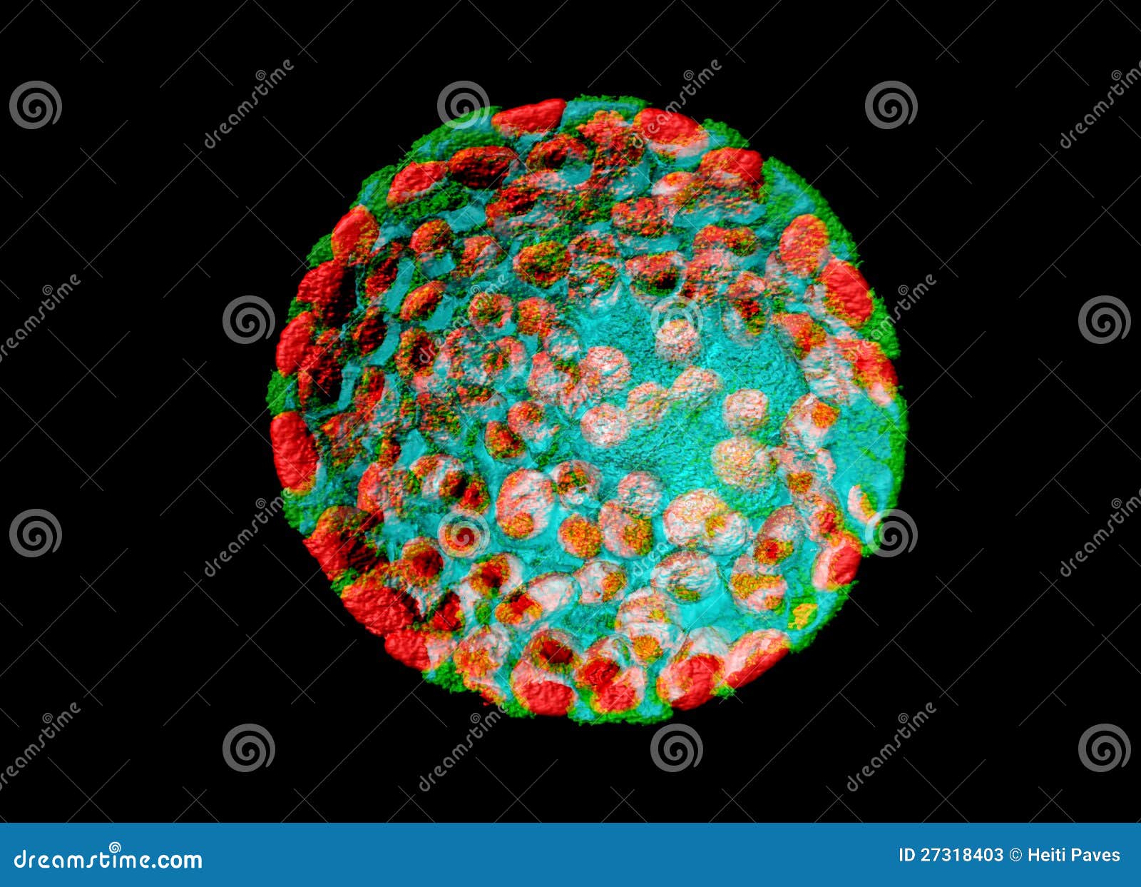 Protoplast stock illustration. Illustration of thaliana - 27318403