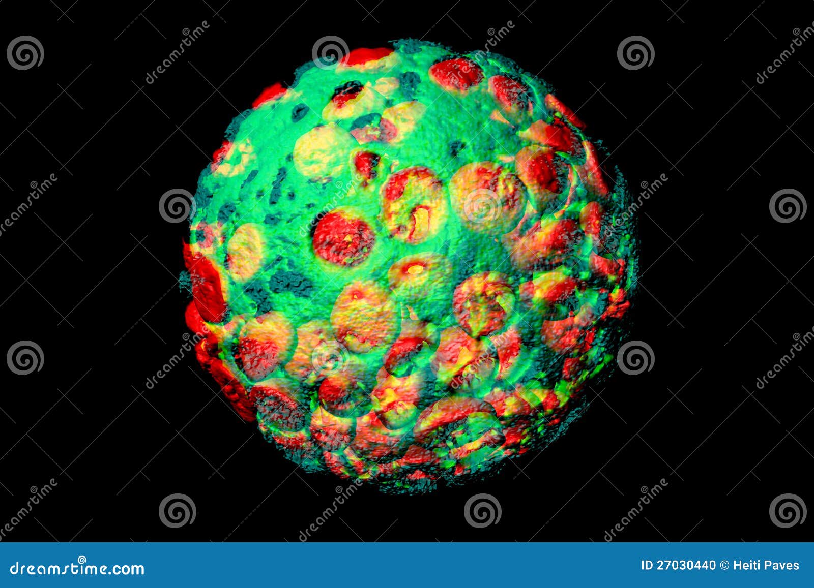 Protoplasto fotografia stock. Immagine di fluorescenza - 27030440