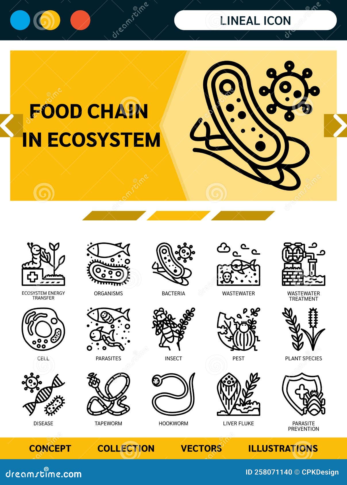 Food chain lineal icons. stock vector. Illustration of species - 258071140