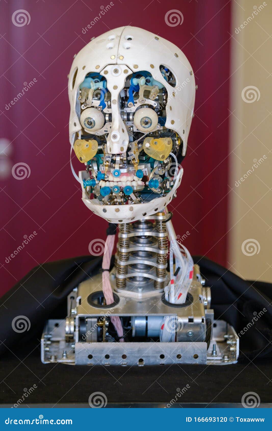 Prototype Electronically Mechanical Robot Android Stock Photo - Image ... Prototype Electronically Mechanical Robot Android Stock Photo - Image ...
