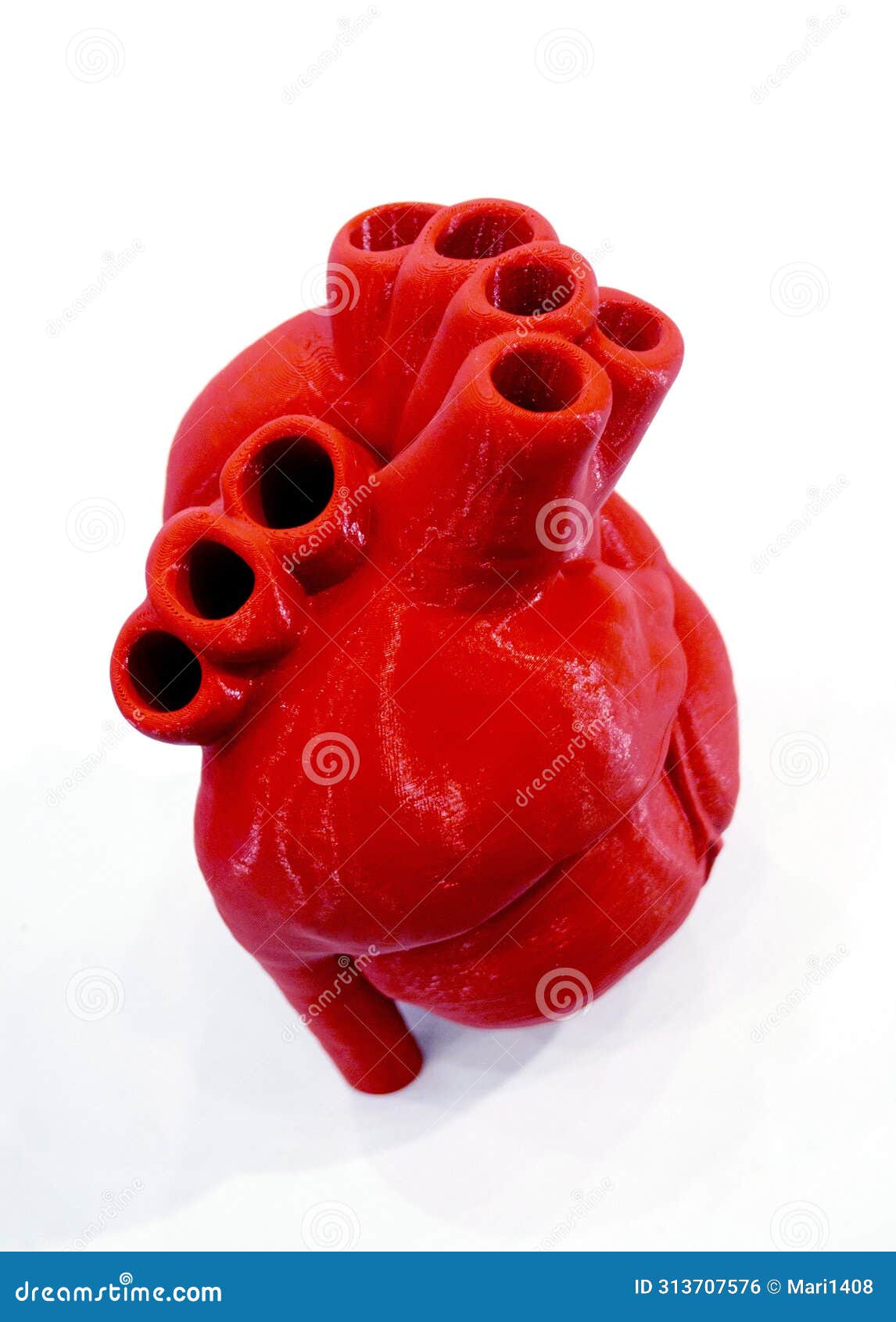 Prototype Human Heart 3D Printed Molten Red Plastic Isolated White ...