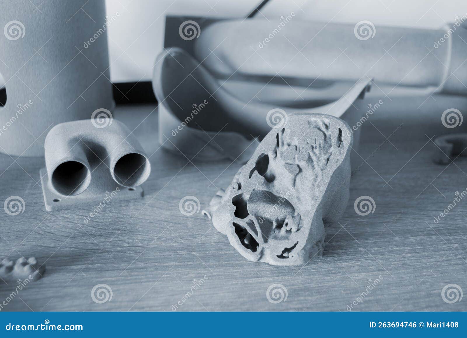 Prototype Model Cross Section of Human Heart Printed with Powder 3D ...