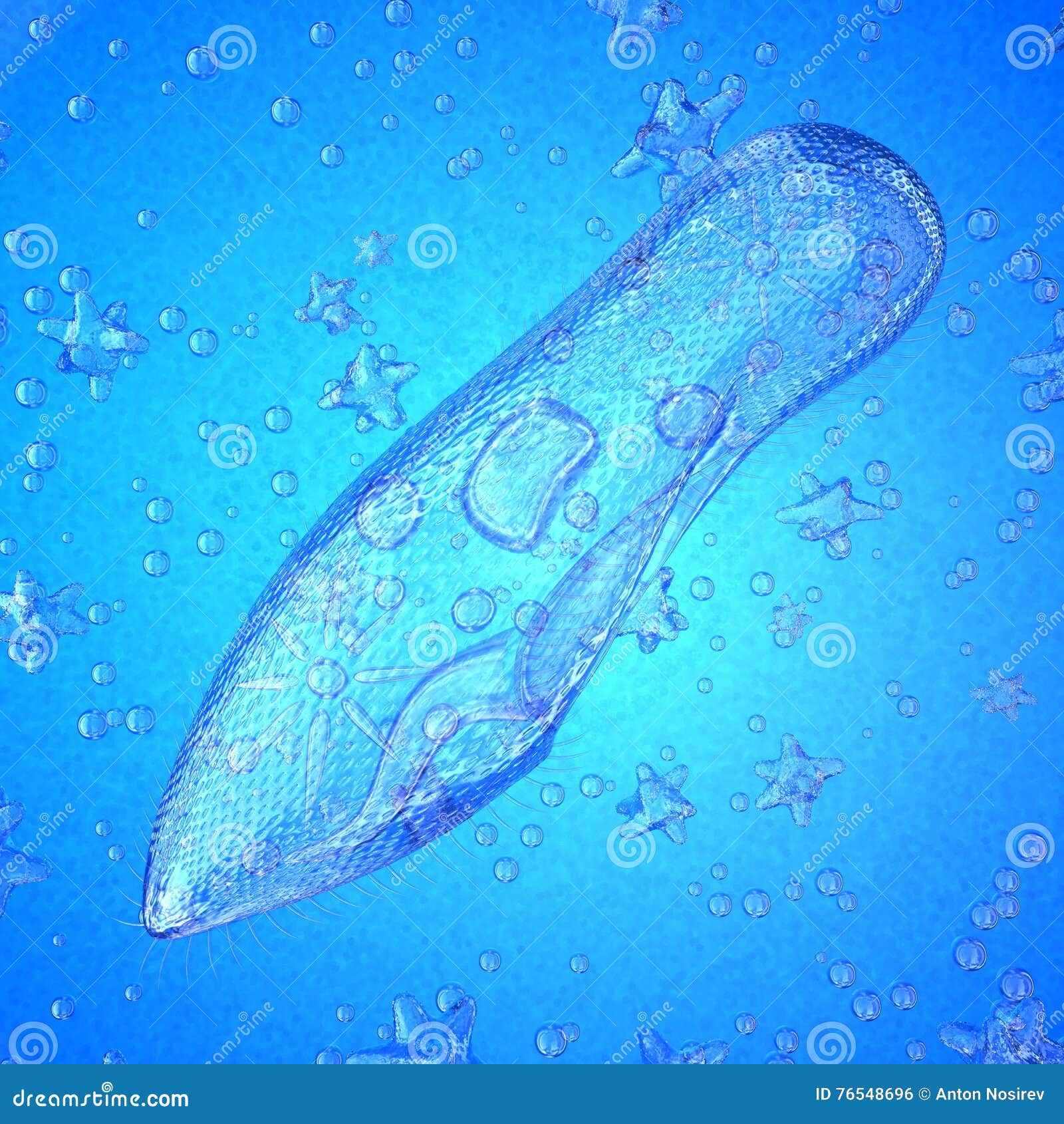 Protozoa Ciliates. 3d Illustration Stock Illustration - Illustration of ...