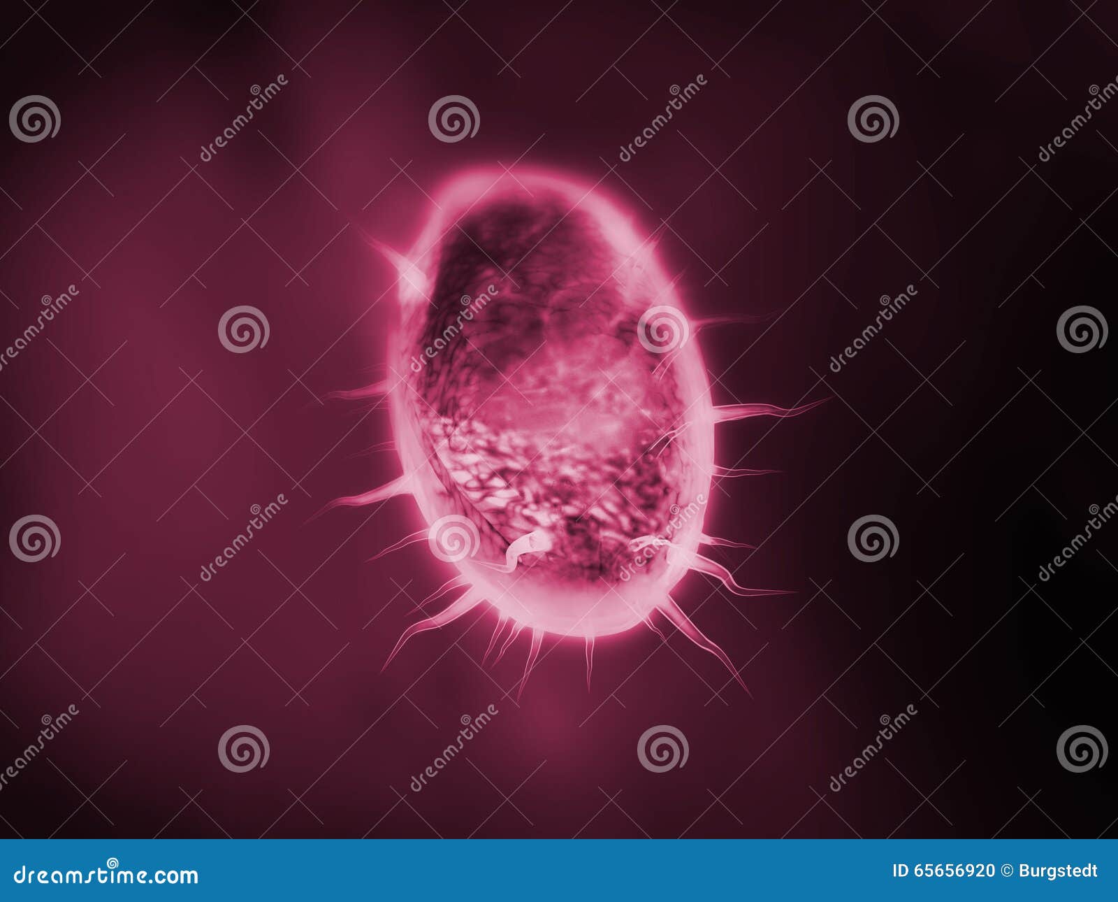Protozoen Oder Einzelliger Mikroorganismus Stock Abbildung ...