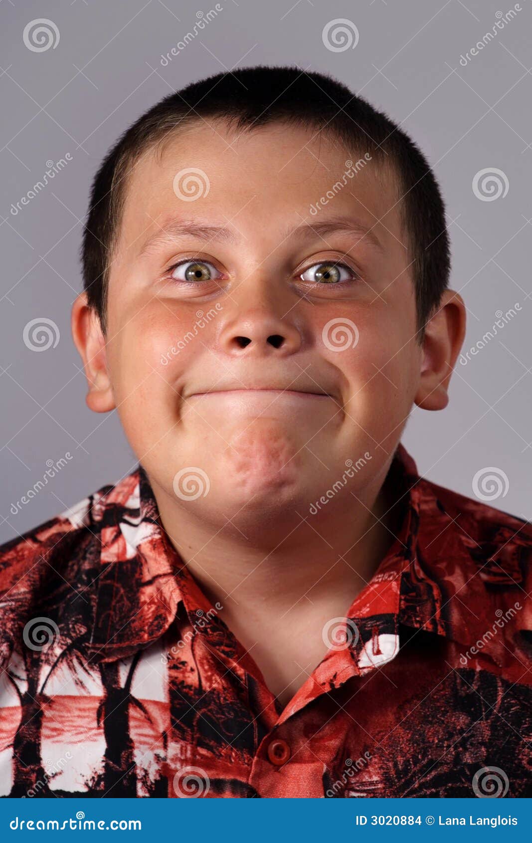 Proud boy stock photo. Image of acting, proud, young, human - 3020884