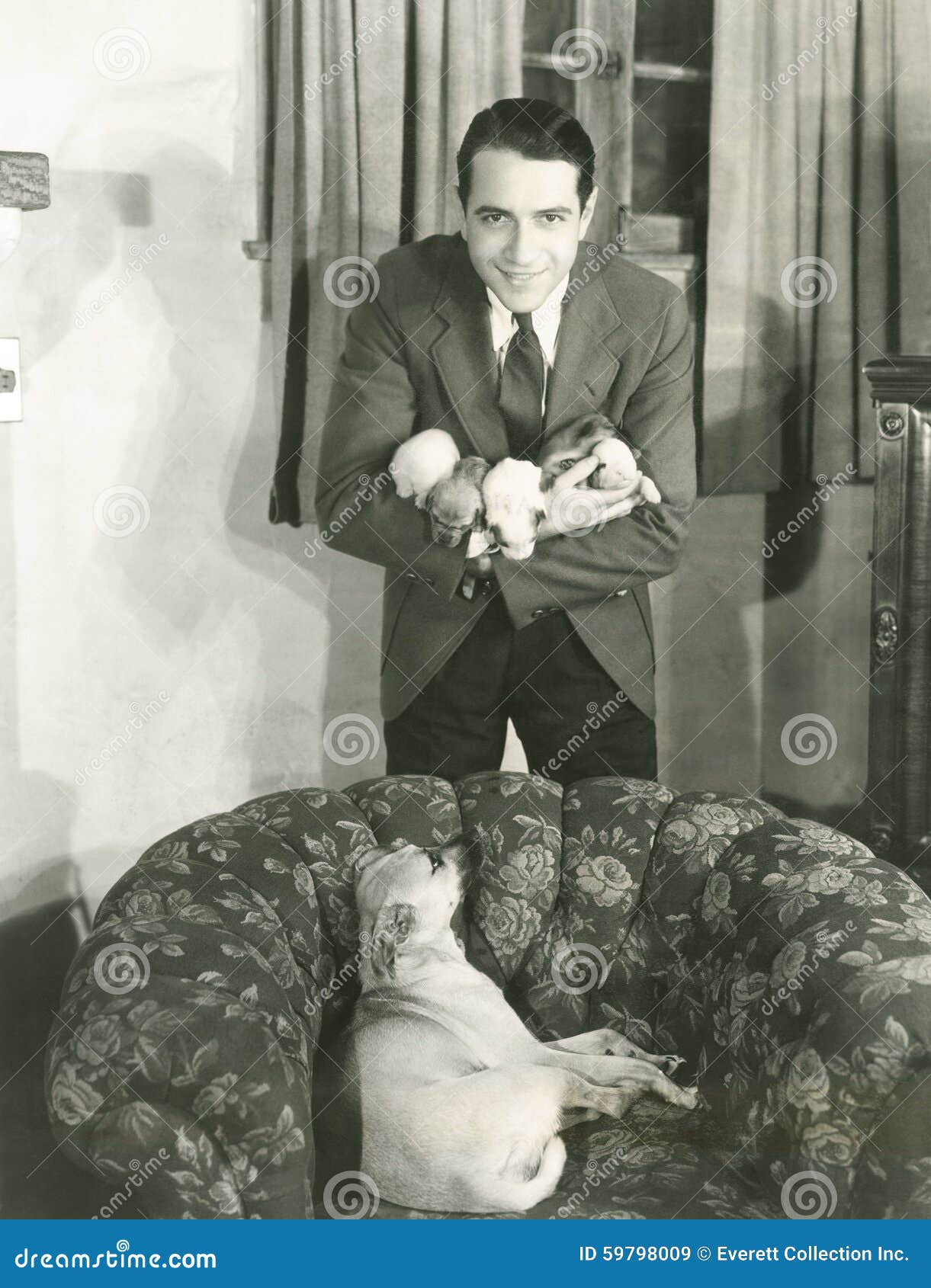 Proud Dog Looking at Puppies Stock Image - Image of blackwhite, animals ...