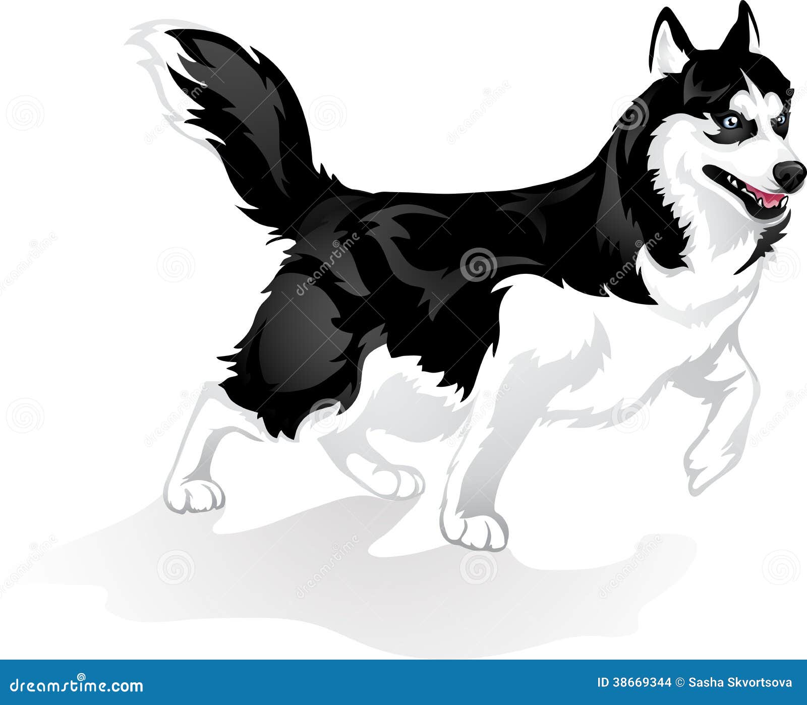 Proud Huskies stock vector. Illustration of white, drawing - 38669344