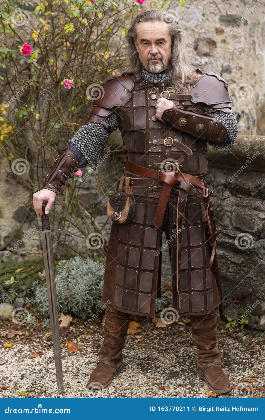 Proud Knight_2 stock image. Image of elegant, costume - 163770211