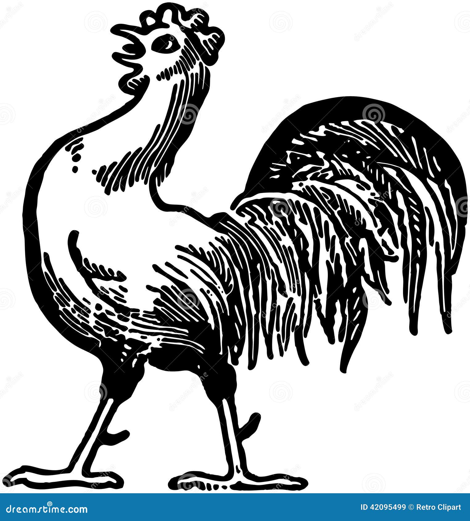 Proud Rooster stock vector. Illustration of birds, barnyards - 42095499