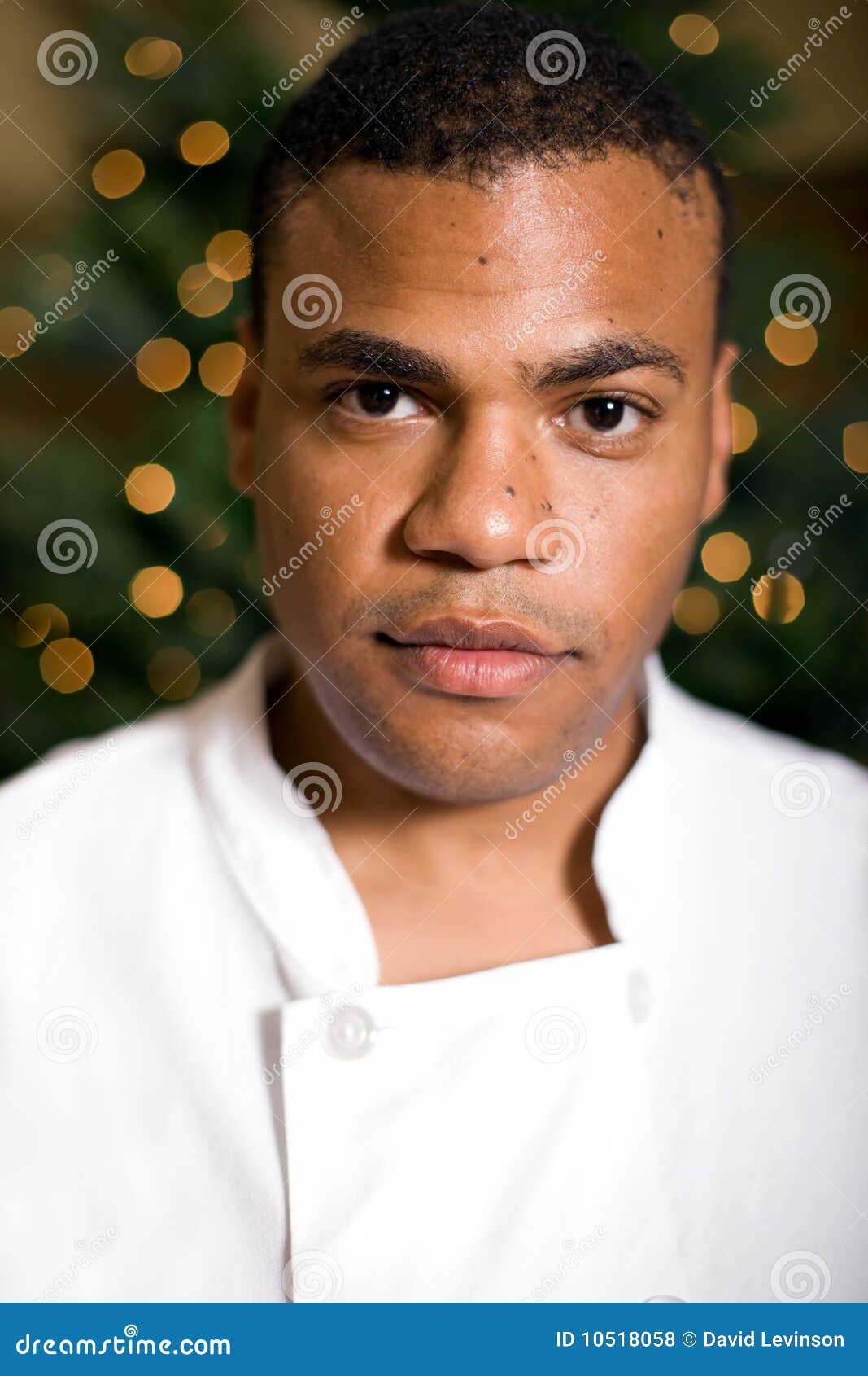 Proud Young Chef stock photo. Image of person, professional - 10518058