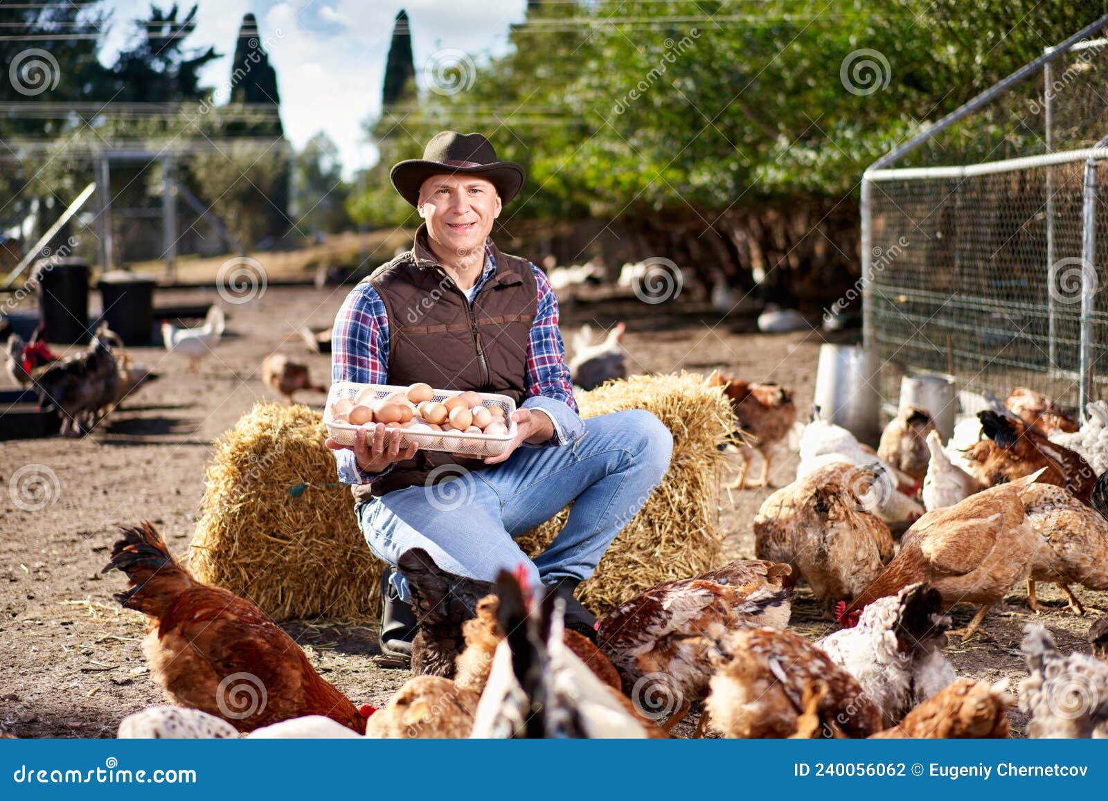 Proud Young Man Holding a Basket Filled with Eggs with Chickens Behind ...