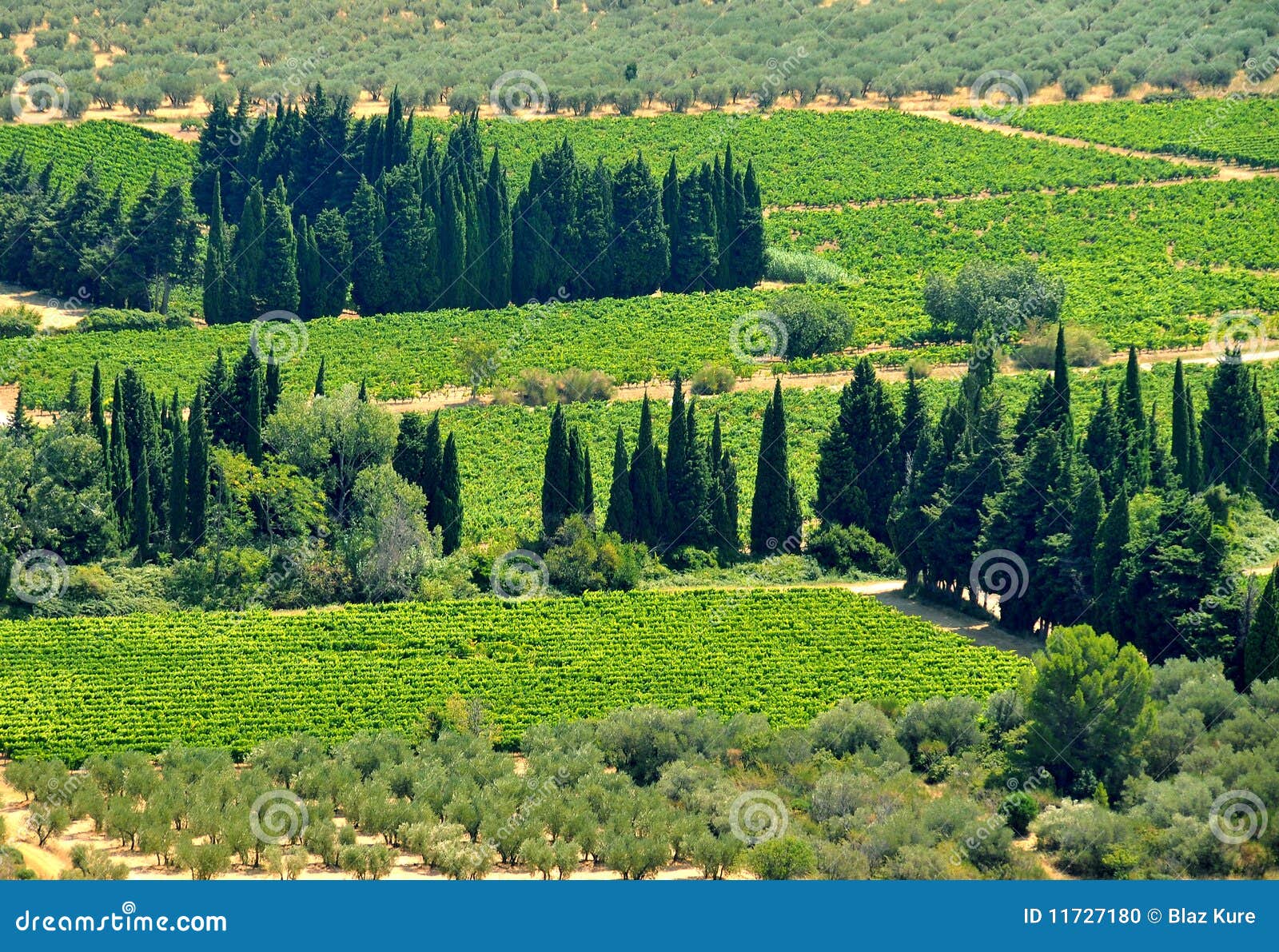 Provence landscape stock photo. Image of nature, outdoor - 11727180