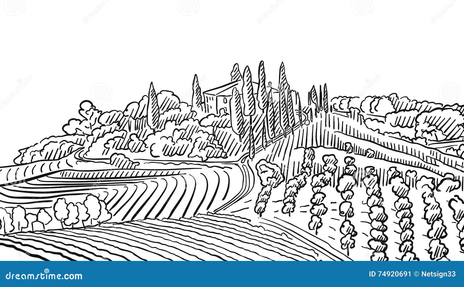 Provence Landscape With Lavender Field, Flat Design, Cartoon Vector ...