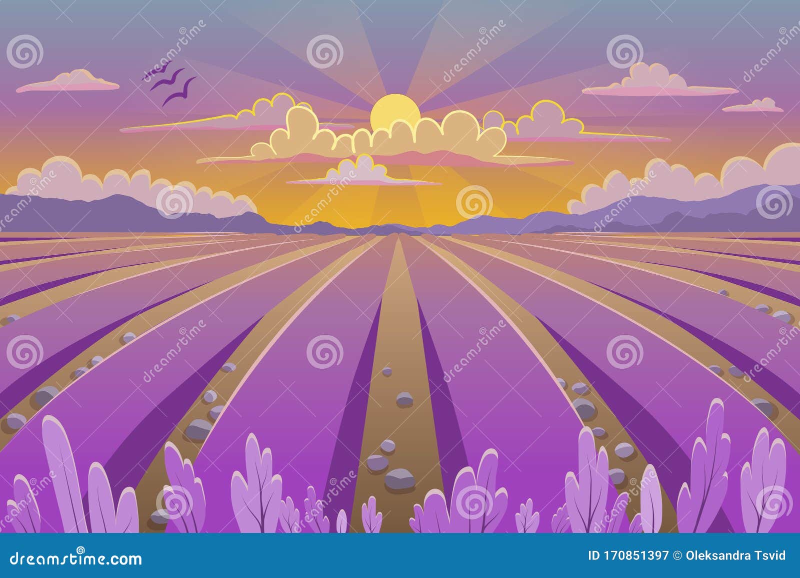 Provence Landscape With Lavender Field, Flat Design, Cartoon Vector ...