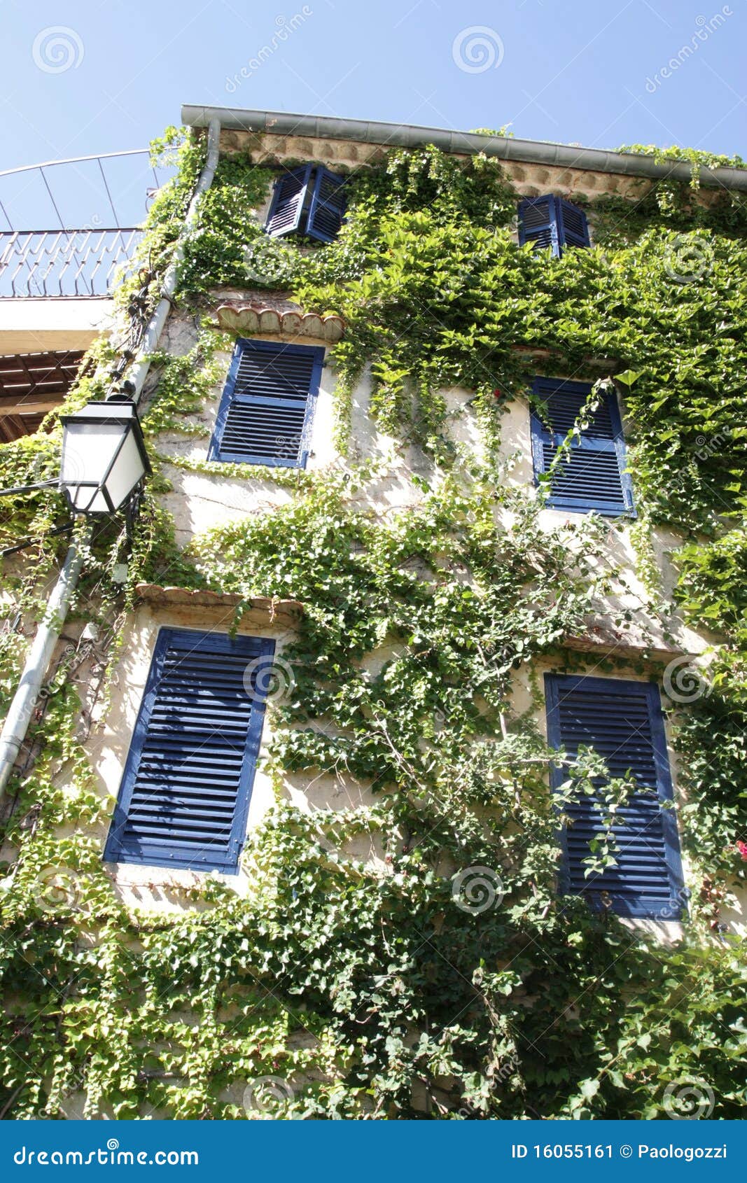 Provence S House Covered by Ivy Stock Image - Image of background ...