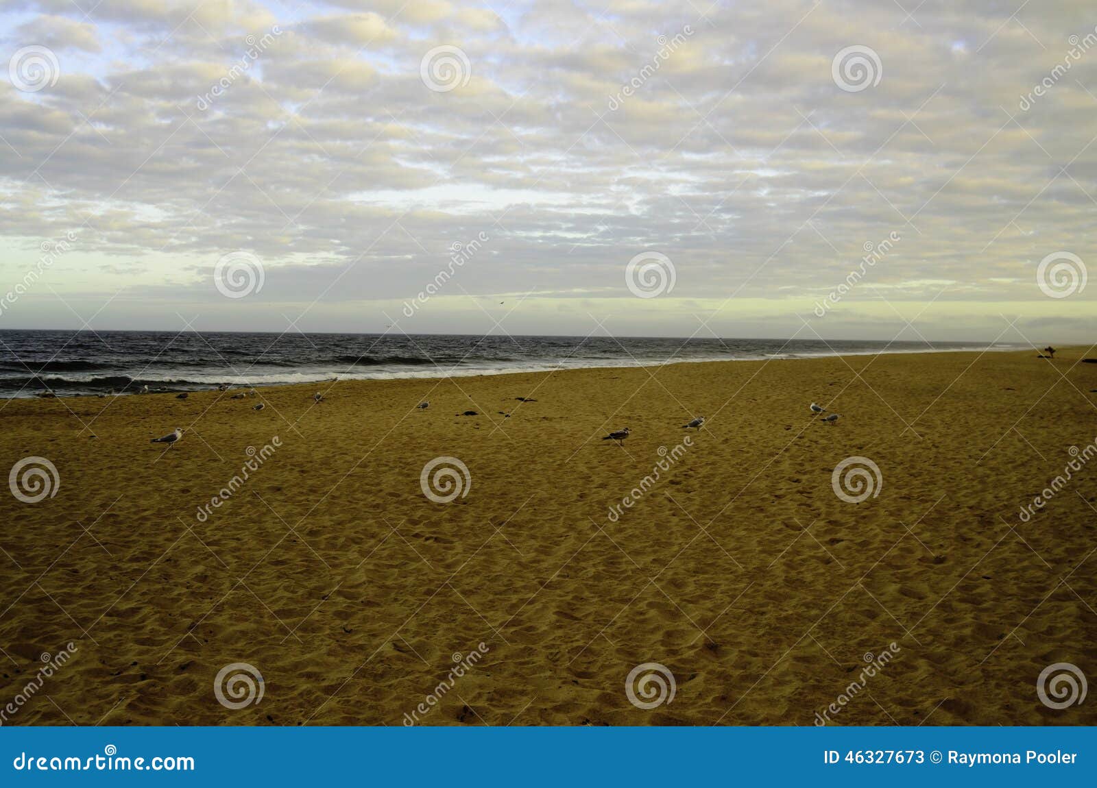 Provence Town Cape Cod Beach View Stock Photos - Free & Royalty-Free ...