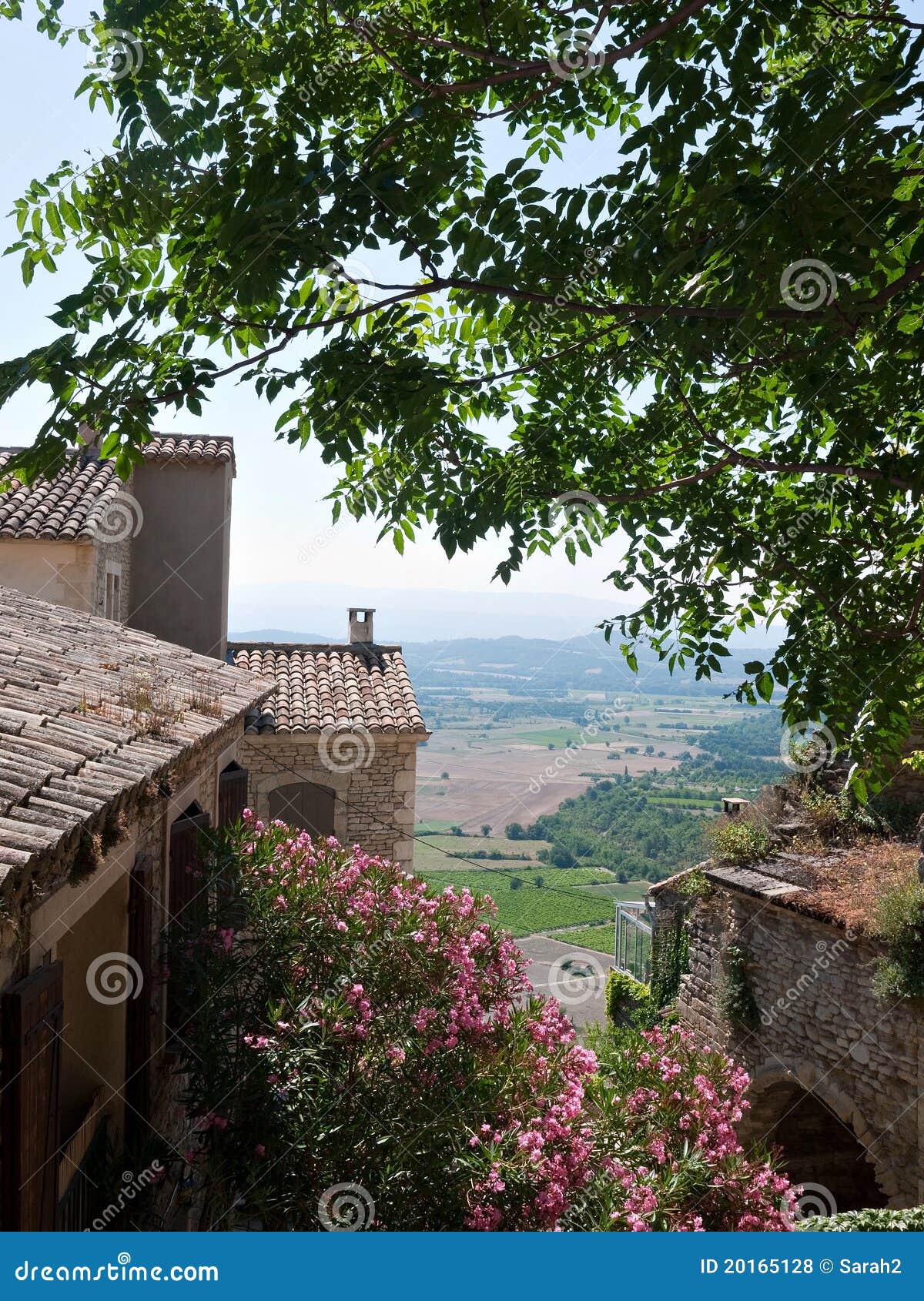 Provence View with Oleander Stock Photo - Image of destination, village ...