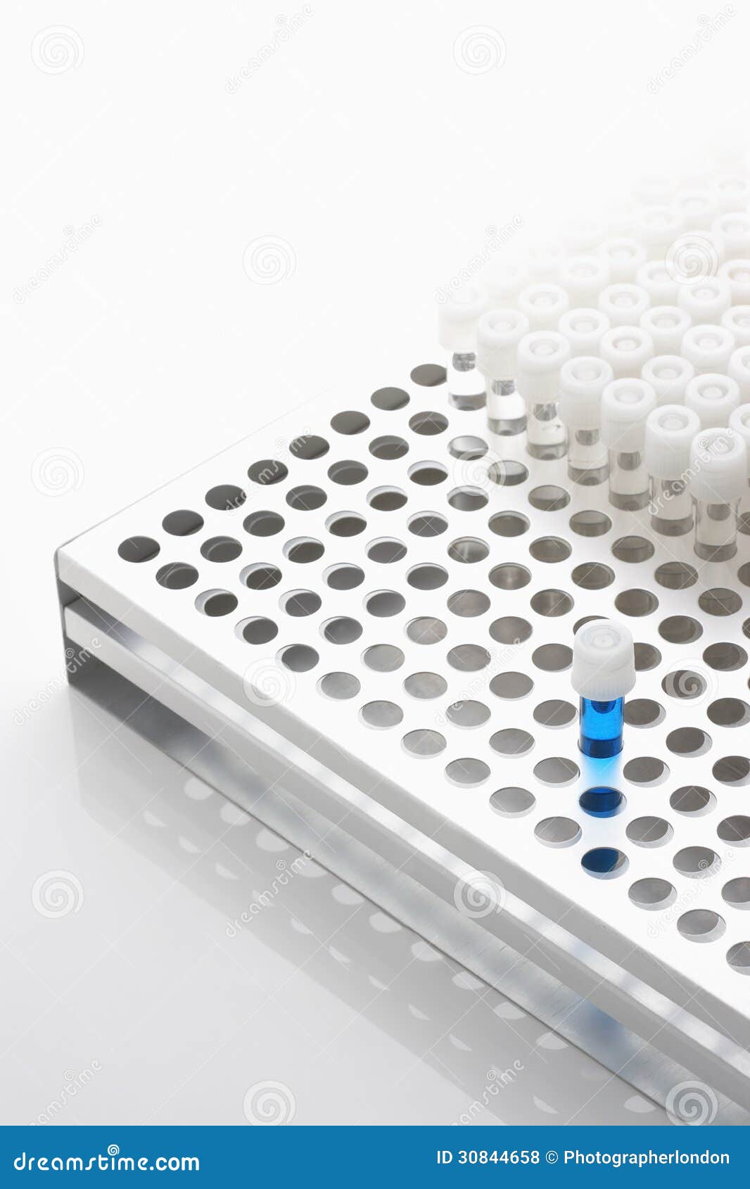 Provetta Blu Con Le Provette Vuote Fotografia Stock - Immagine di ...