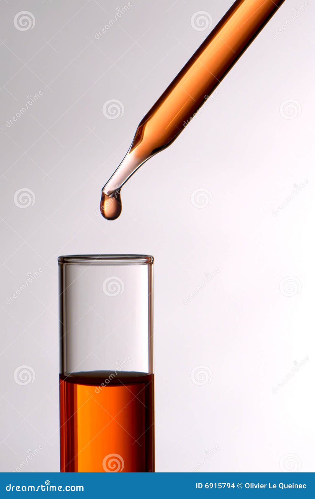 Provetta Nel Laboratorio Di Scienza Fotografia Stock - Immagine di ...