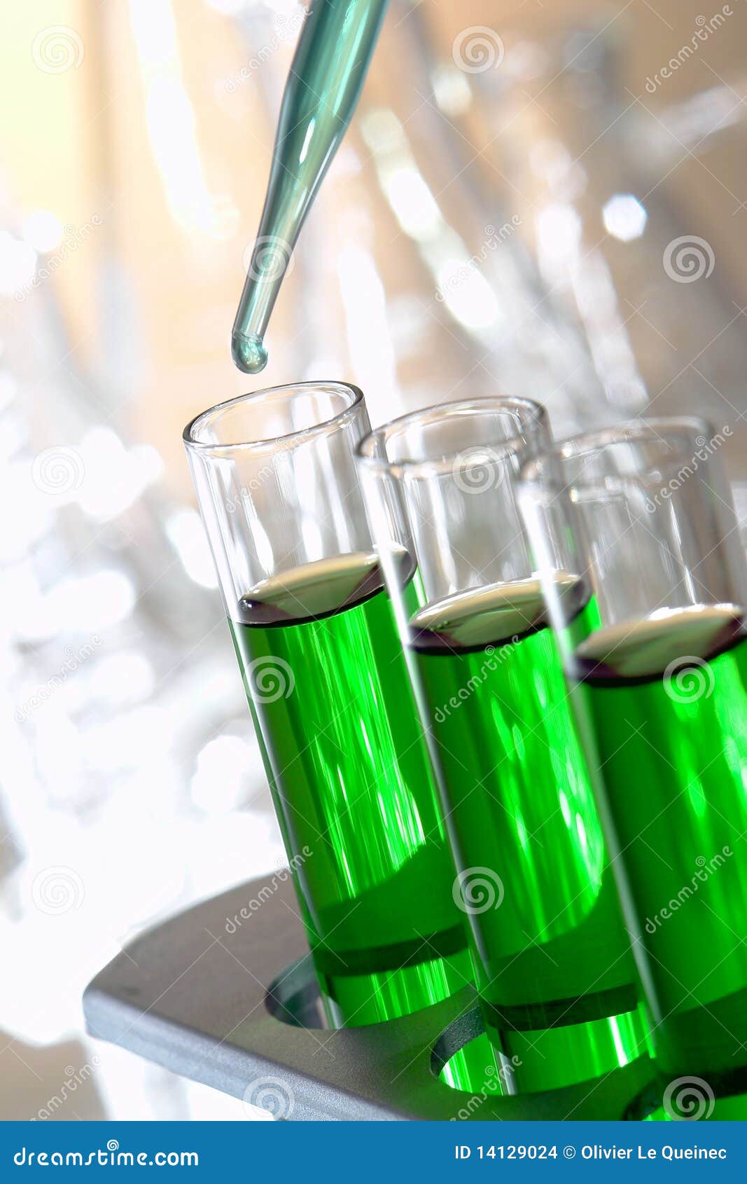 Provette Nel Laboratorio Di Ricerca Di Scienza Fotografia Stock ...