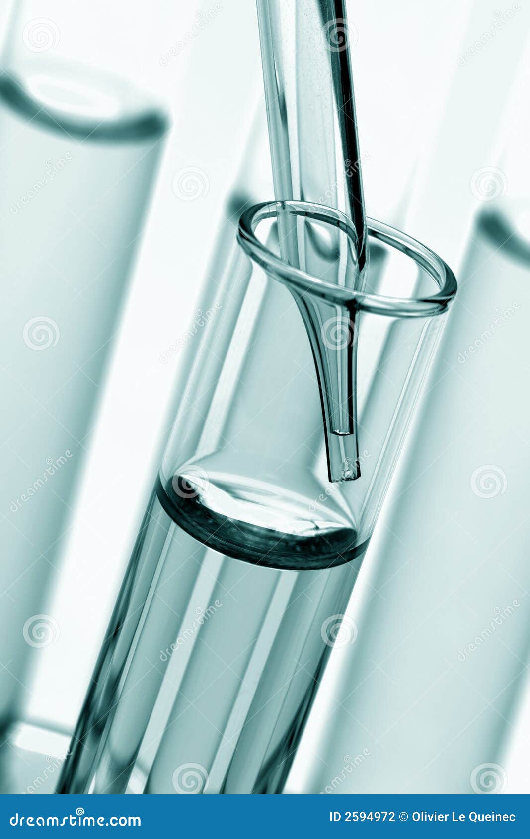 Provette Nel Laboratorio Di Ricerca Di Scienza Fotografia Stock ...