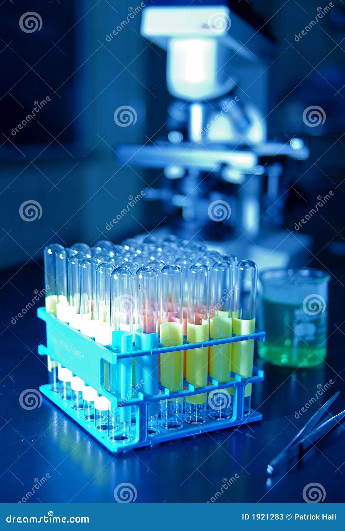 Provette Utilizzate Nella Ricerca Immagine Stock - Immagine di scoperta ...